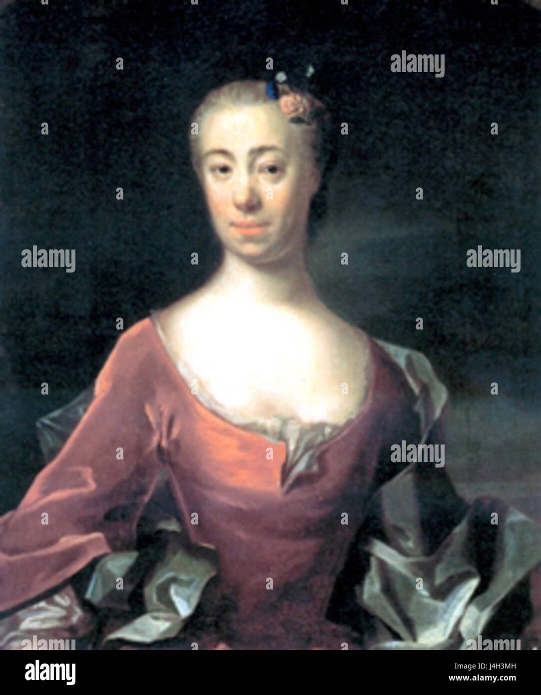 Linne illustration hi-res stock photography and images - Alamy