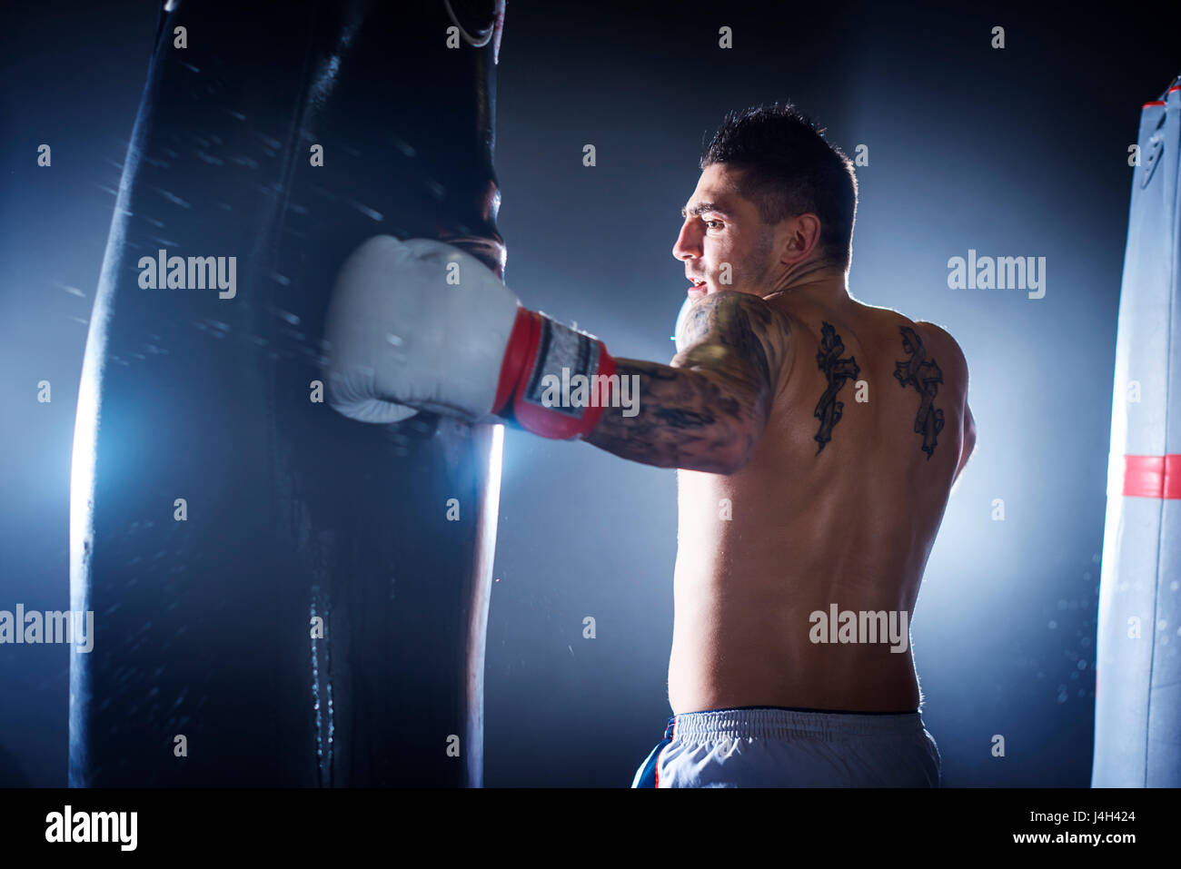 Back view of fighting man on the gym Stock Photo - Alamy