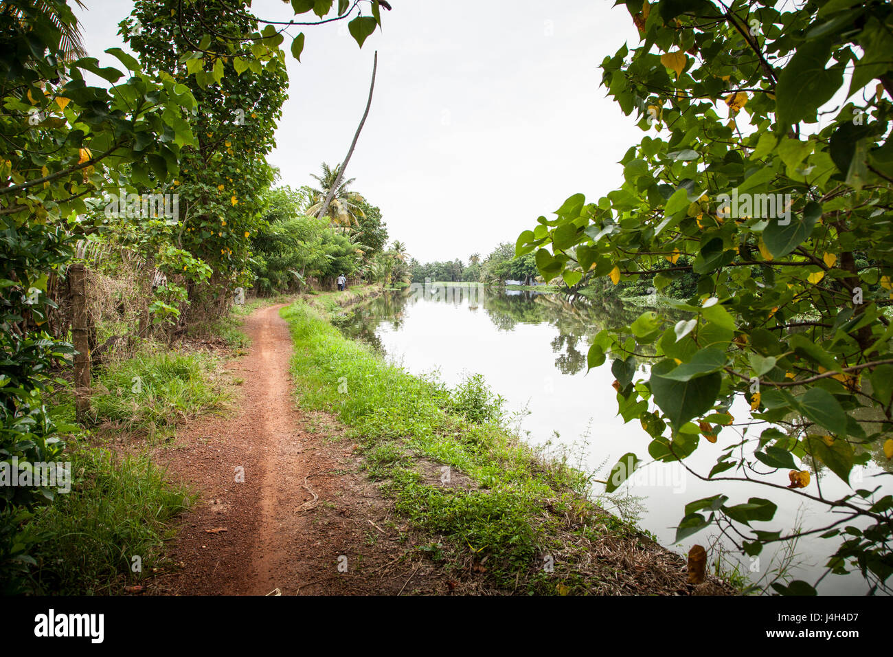 Alleppey also known as Alappuzha in Kerala, India is a gorgeous ...