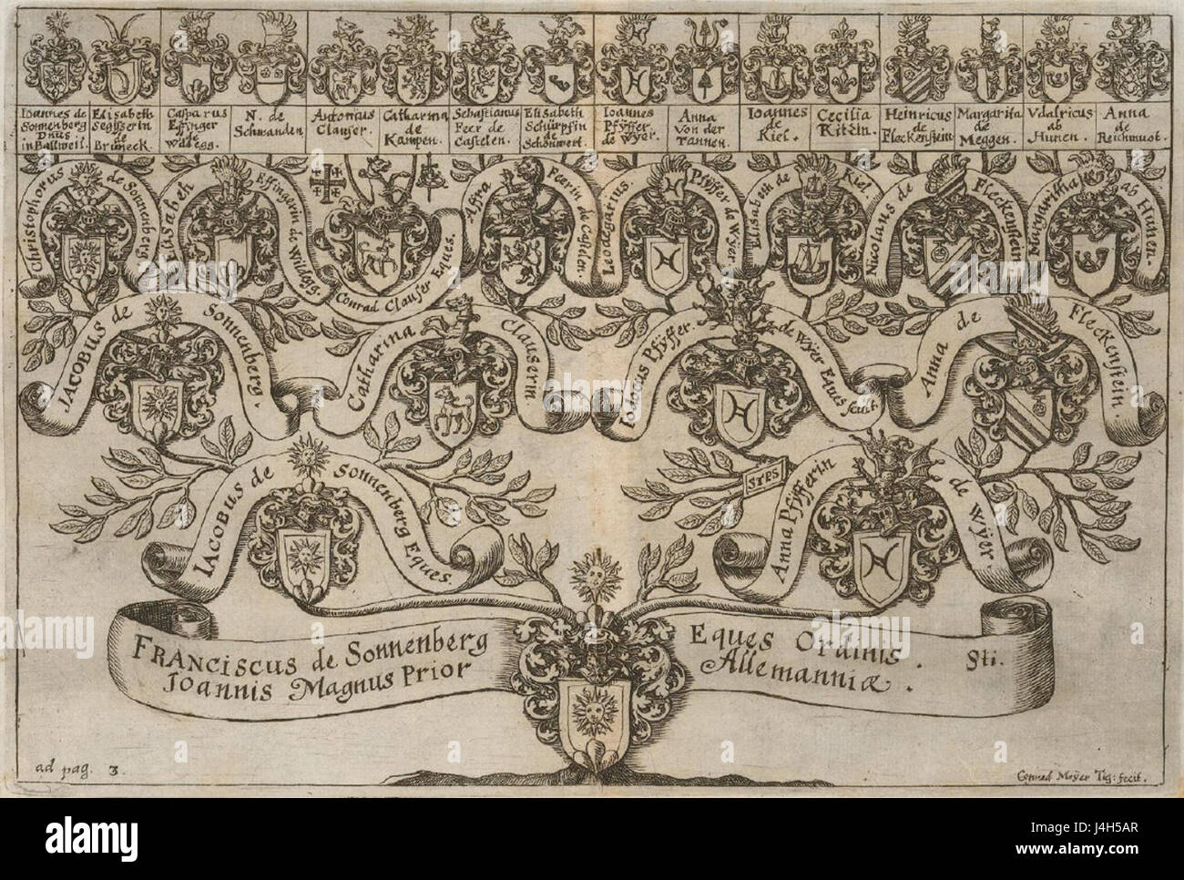 The 'Stammbaum Franz v Sonnenberg' is a genealogical record detailing ...