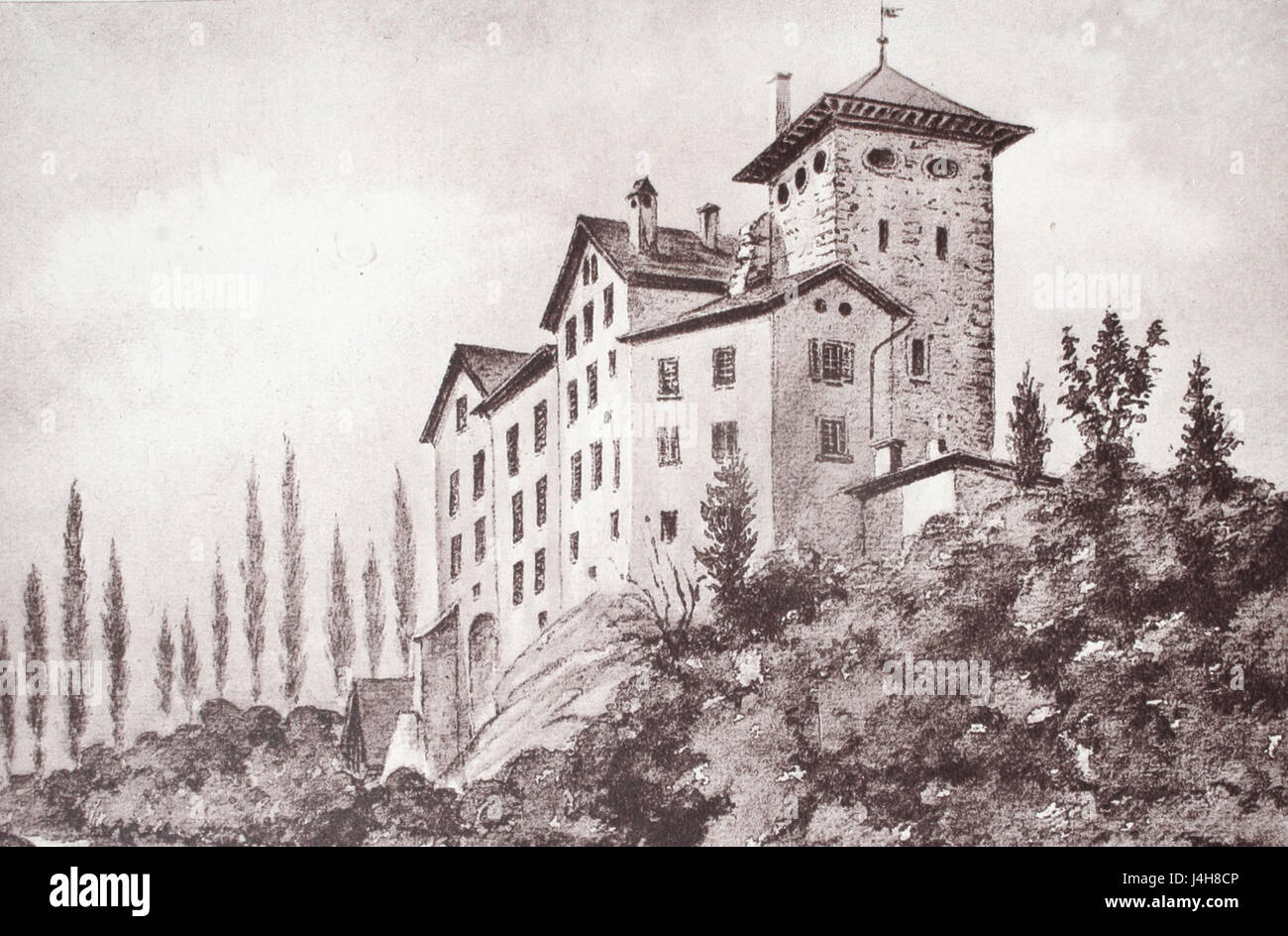 Schloss Rietberg, built in the 19th century, is a historical castle ...