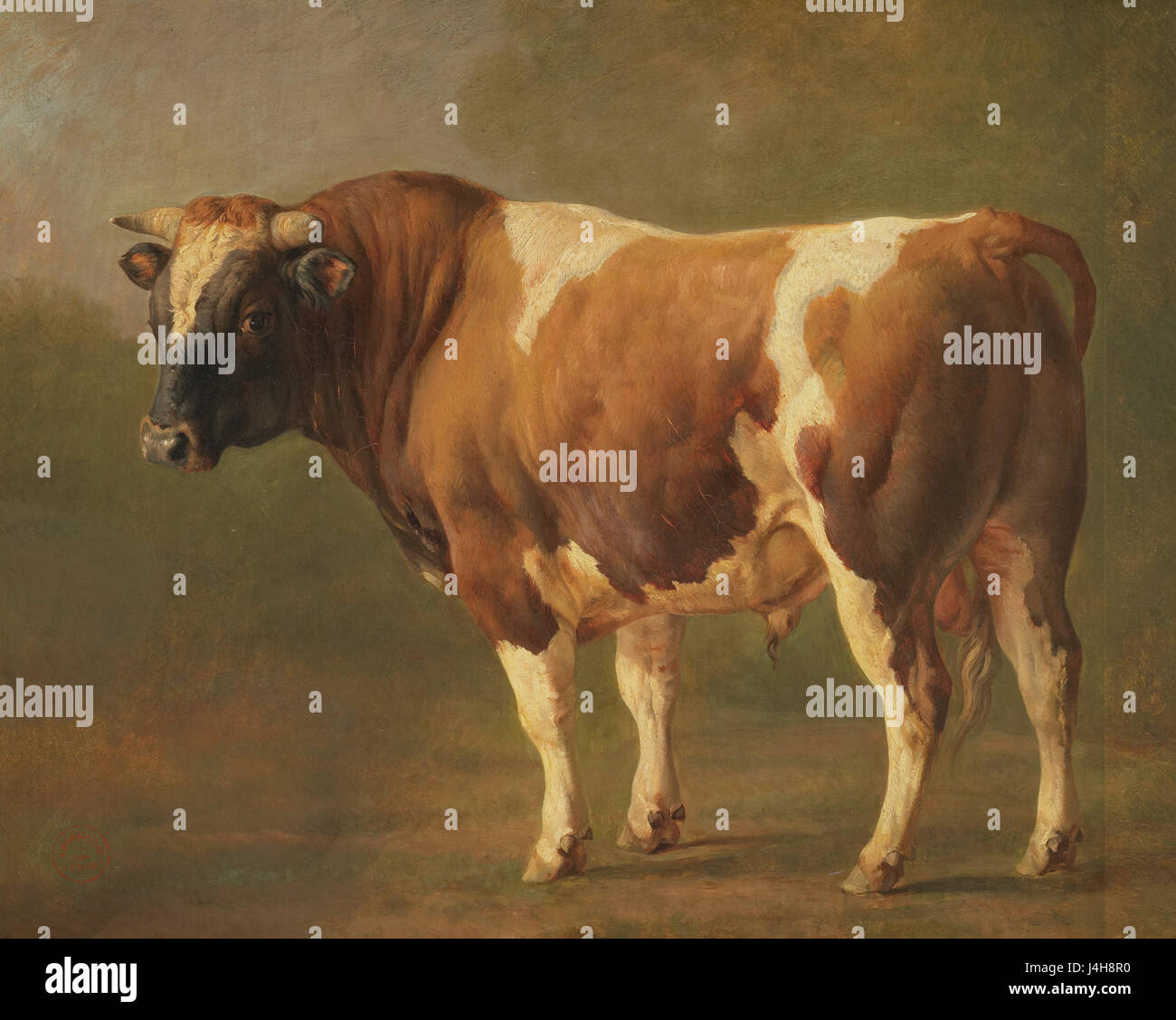 Studie van een stier hi-res stock photography and images - Alamy