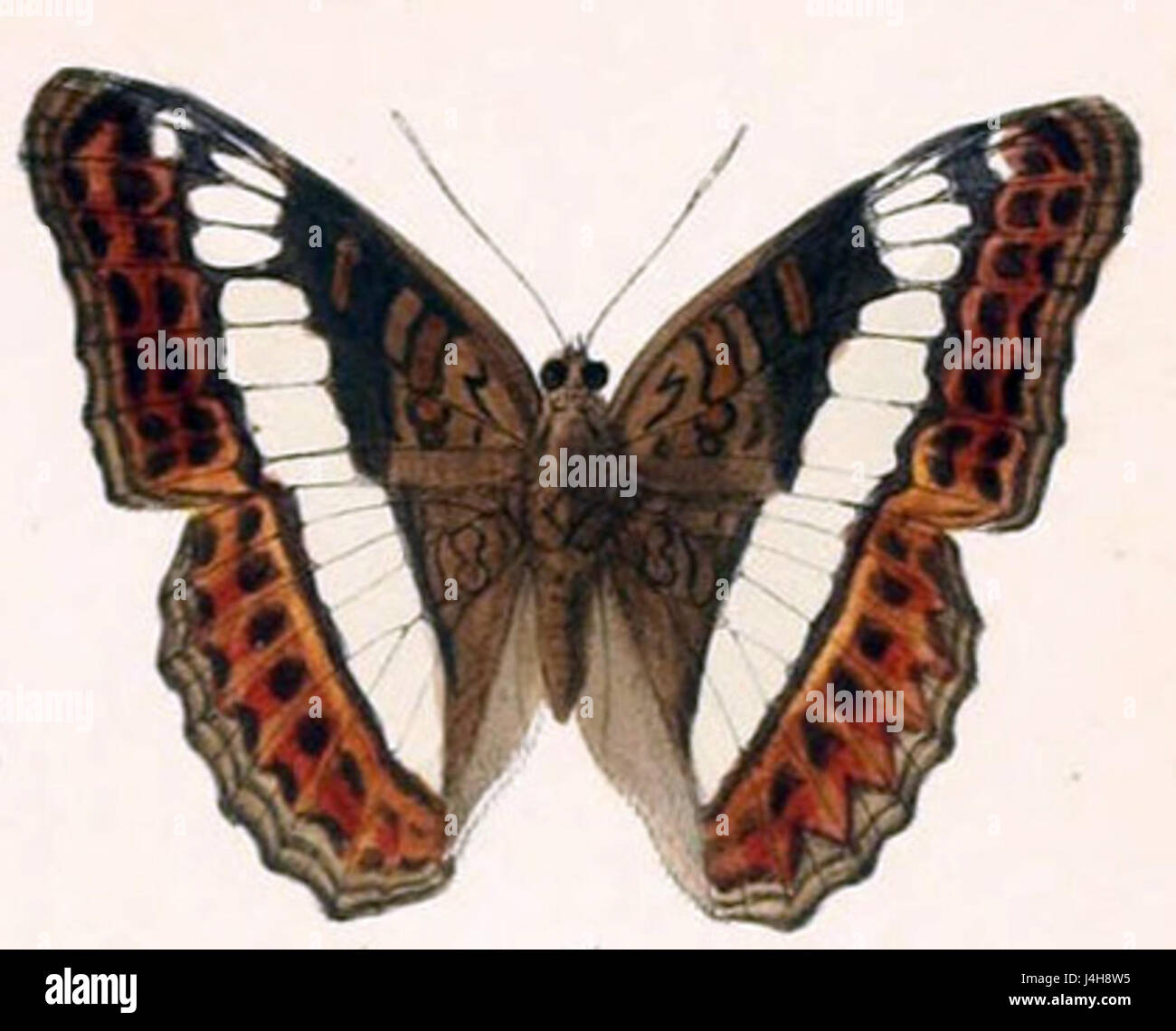 Sumalia hi-res stock photography and images - Alamy