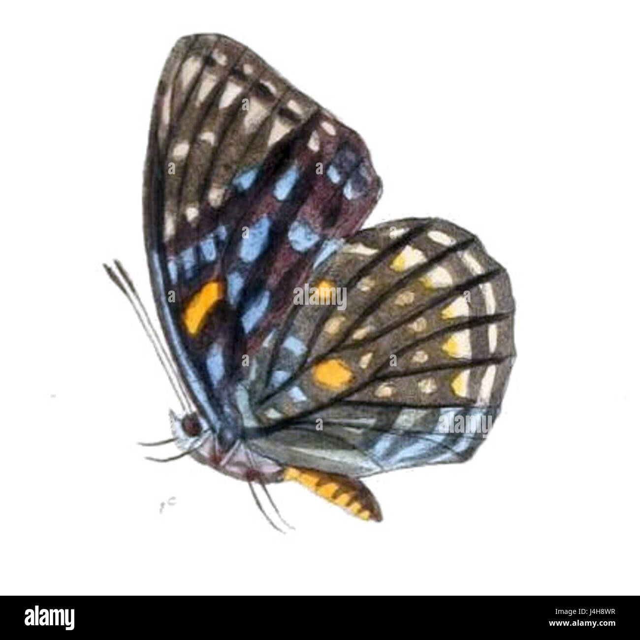 Modern work reference labeled Cut Out Stock Images & Pictures - Alamy