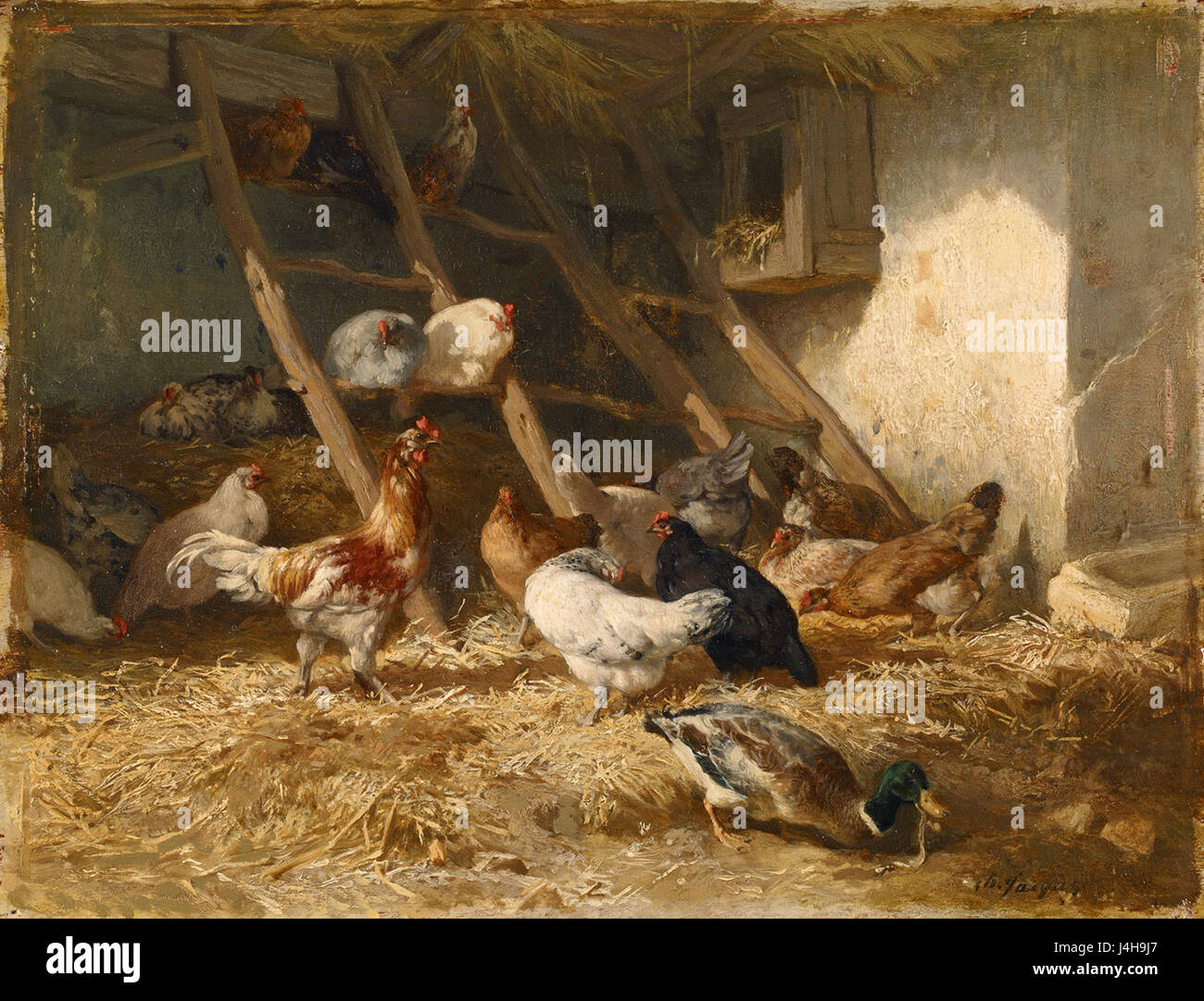 Hoenders High Resolution Stock Photography and Images - Alamy
