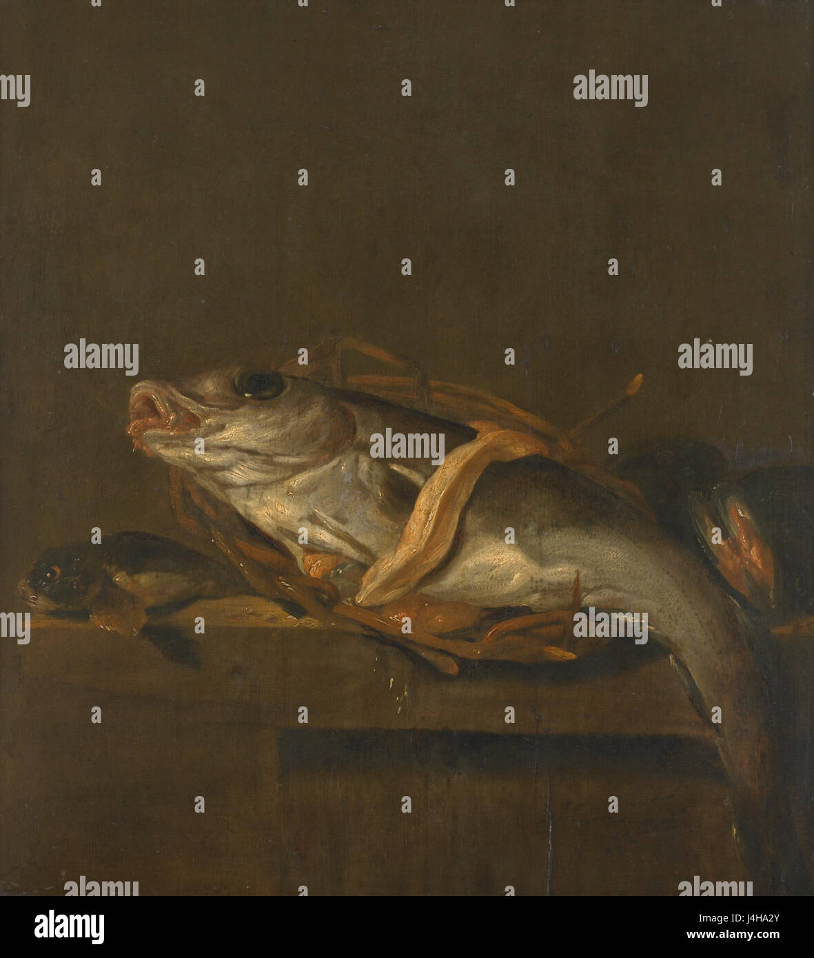 Knorhaan hi-res stock photography and images - Alamy