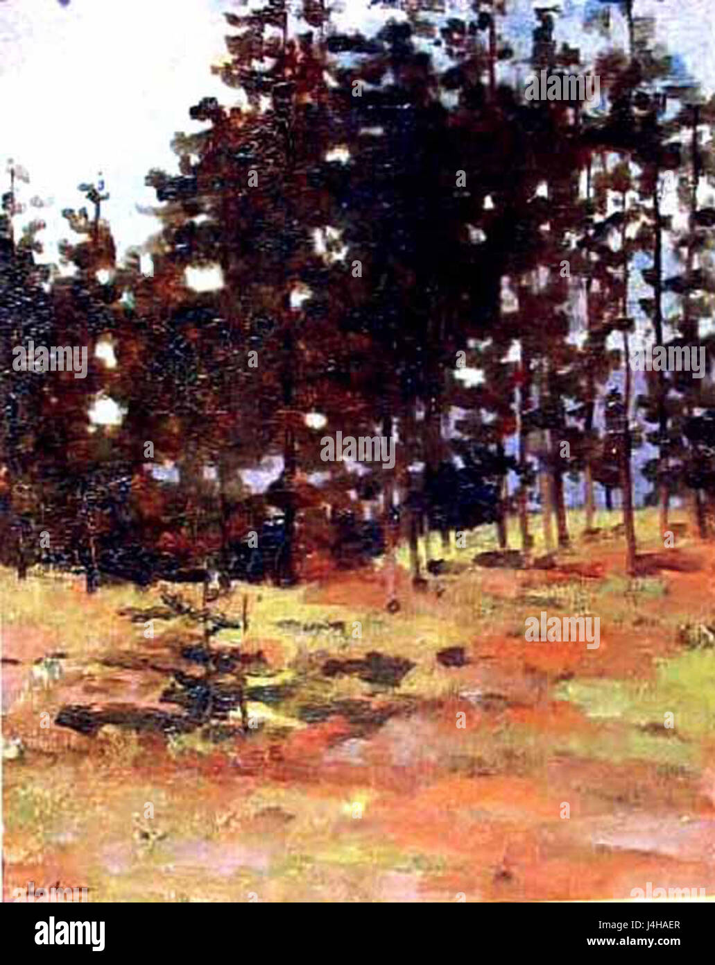 Bradet hi-res stock photography and images - Alamy