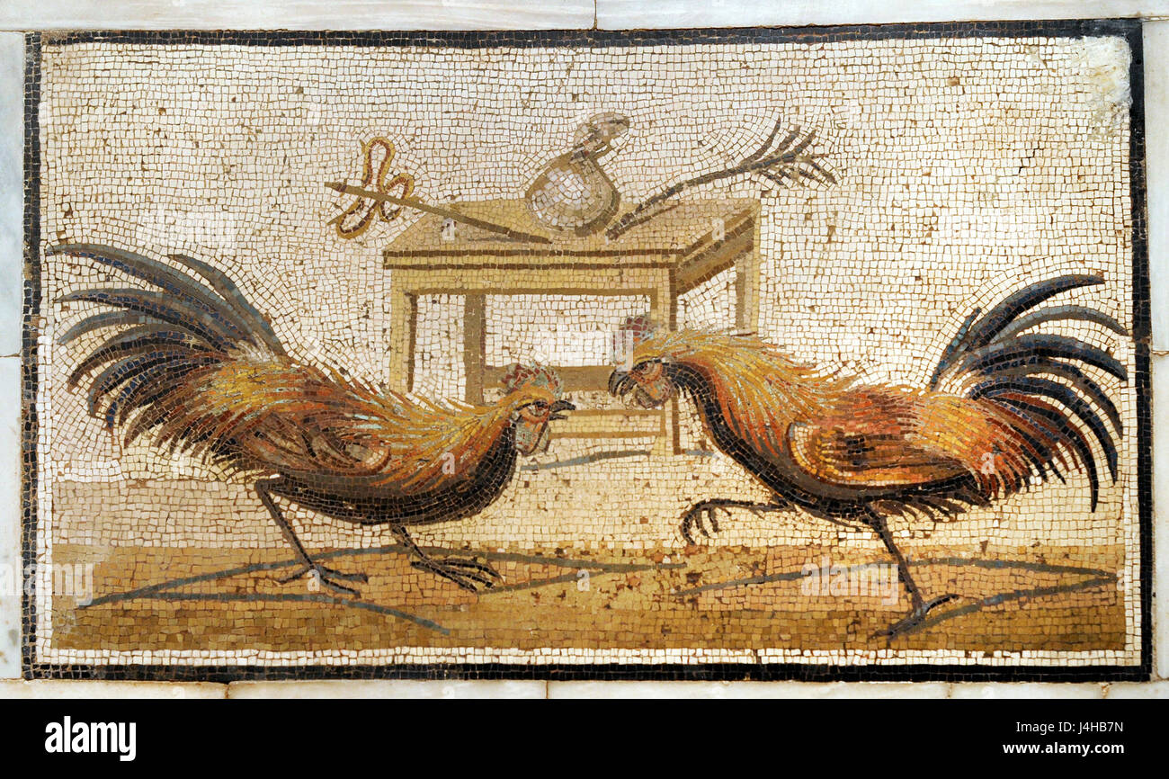 Roman mosaic. Fighting roosters. 1st century. National Archaeological ...