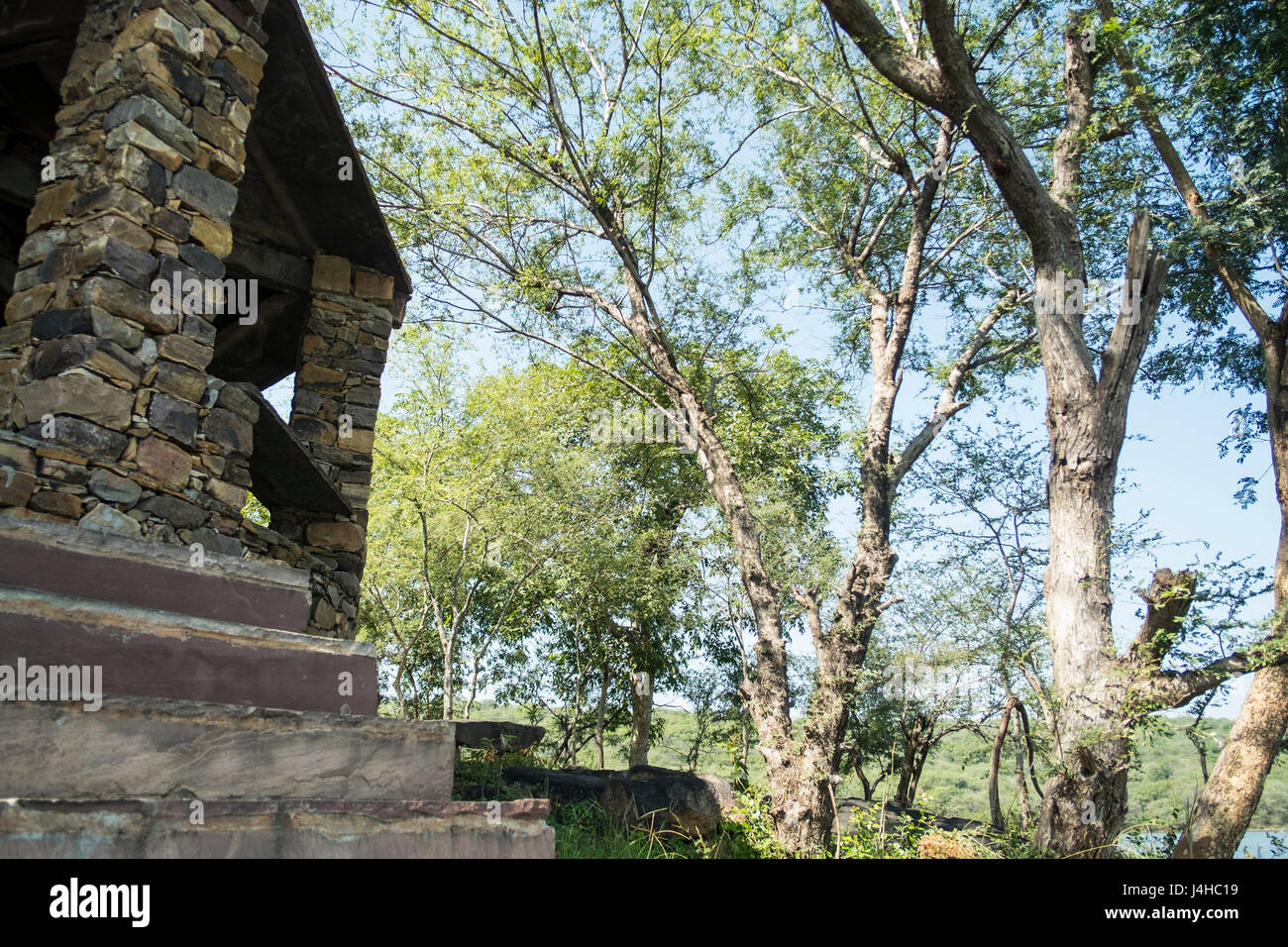 Bassi rajasthan india hi-res stock photography and images - Alamy