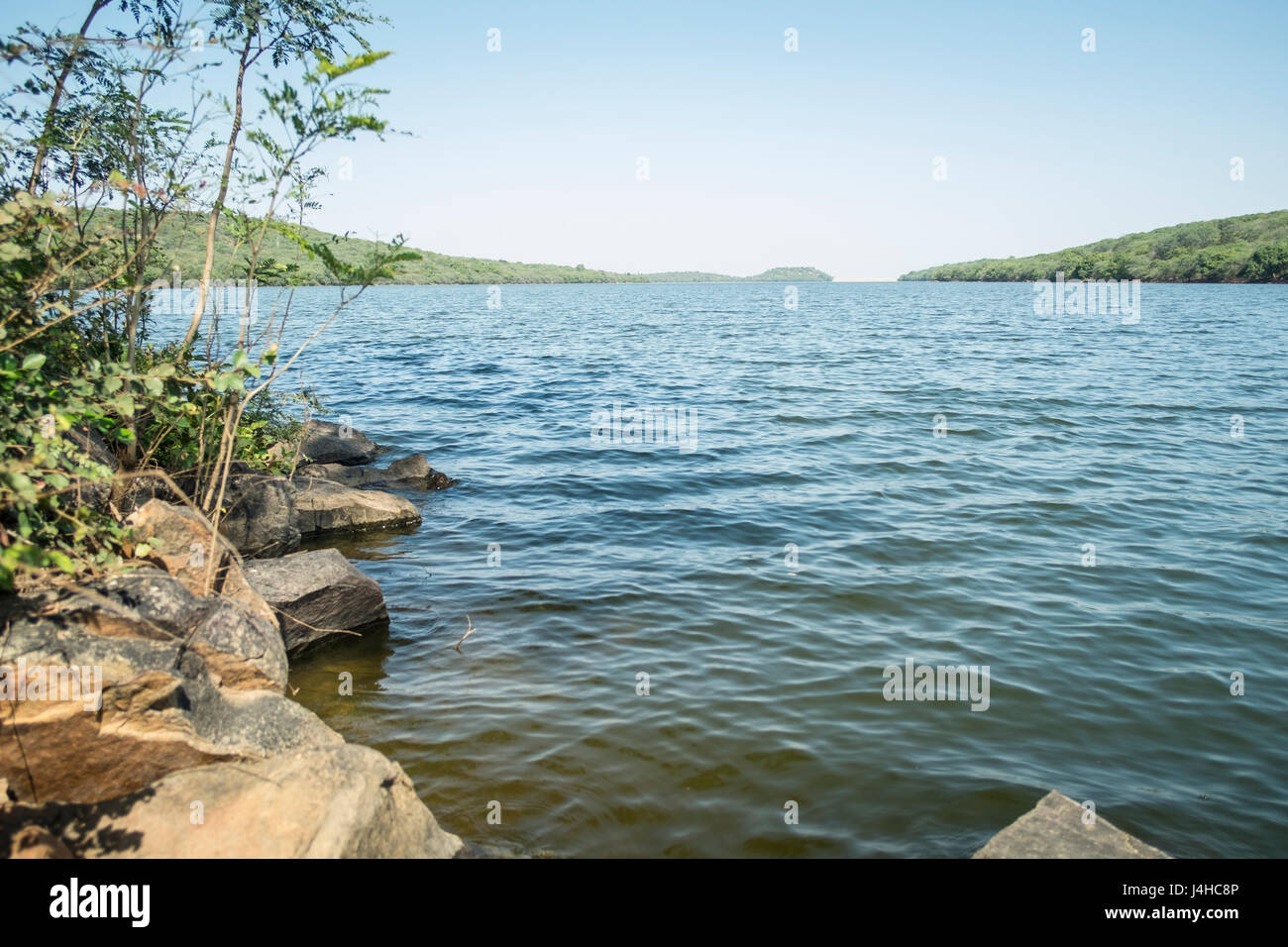 Bassi Wildlife Sanctuary is a wildlife sanctuary near Bassi in ...