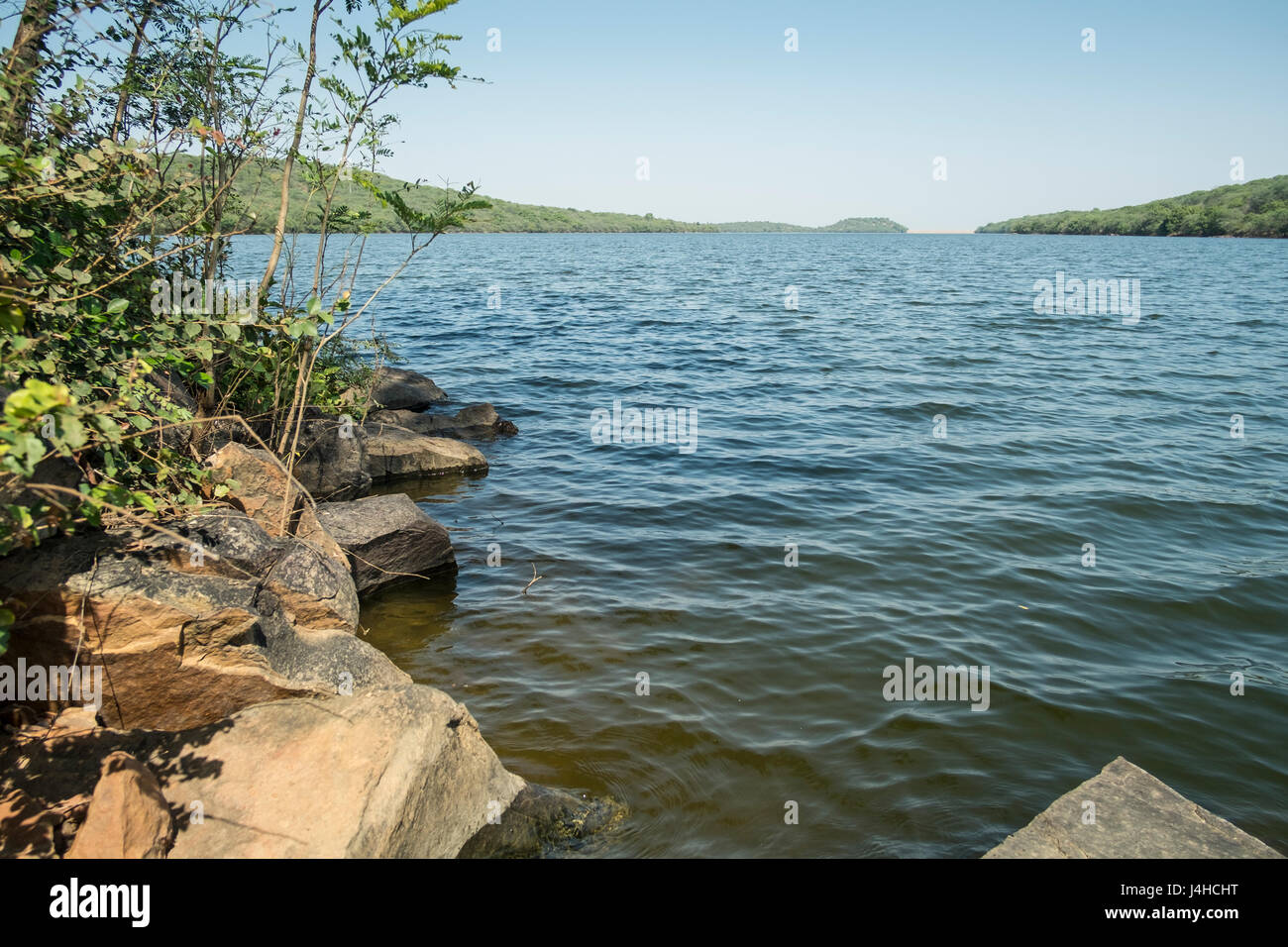 Bassi Wildlife Sanctuary is a wildlife sanctuary near Bassi in ...