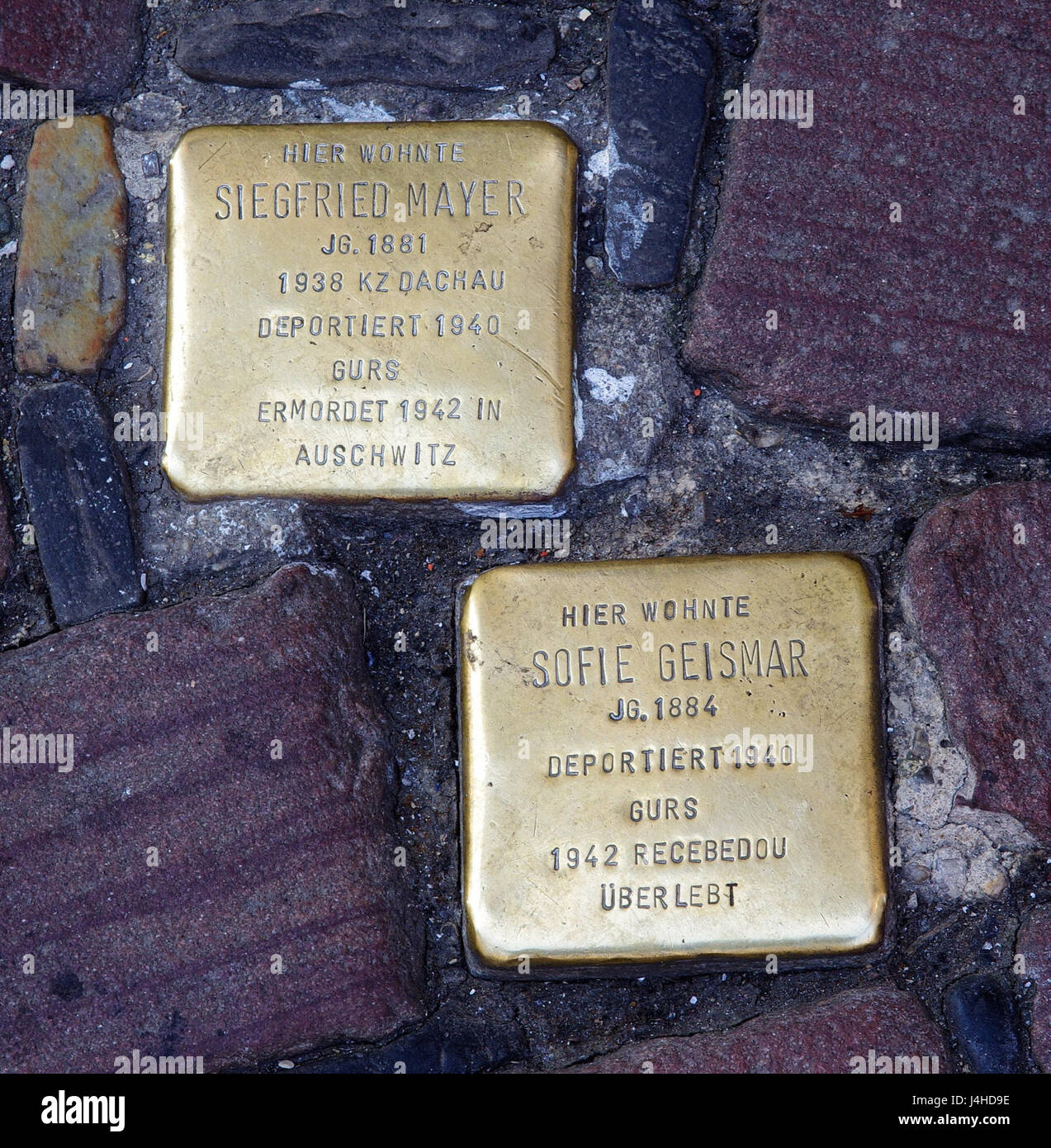 Stolpersteine in Freiburg im Breisgau are part of a commemorative ...