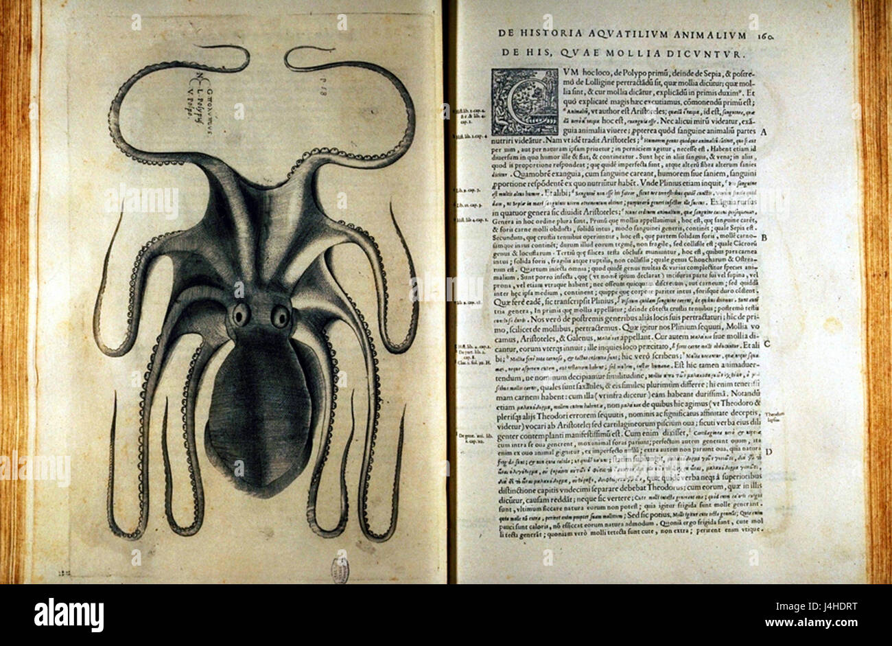 1554 map hi-res stock photography and images - Alamy