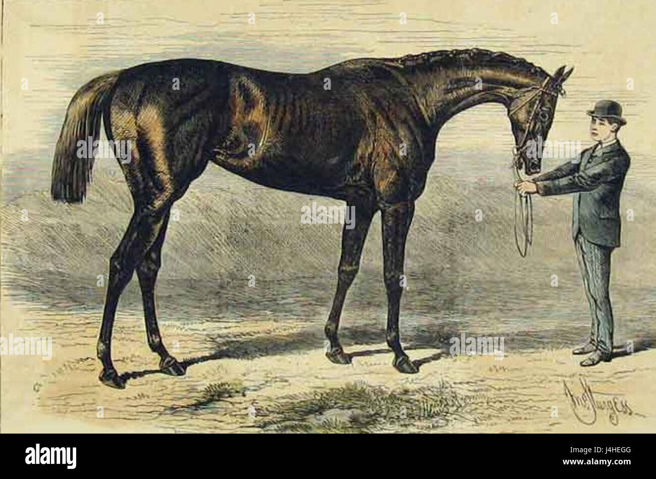 Shotover hill hi-res stock photography and images - Alamy