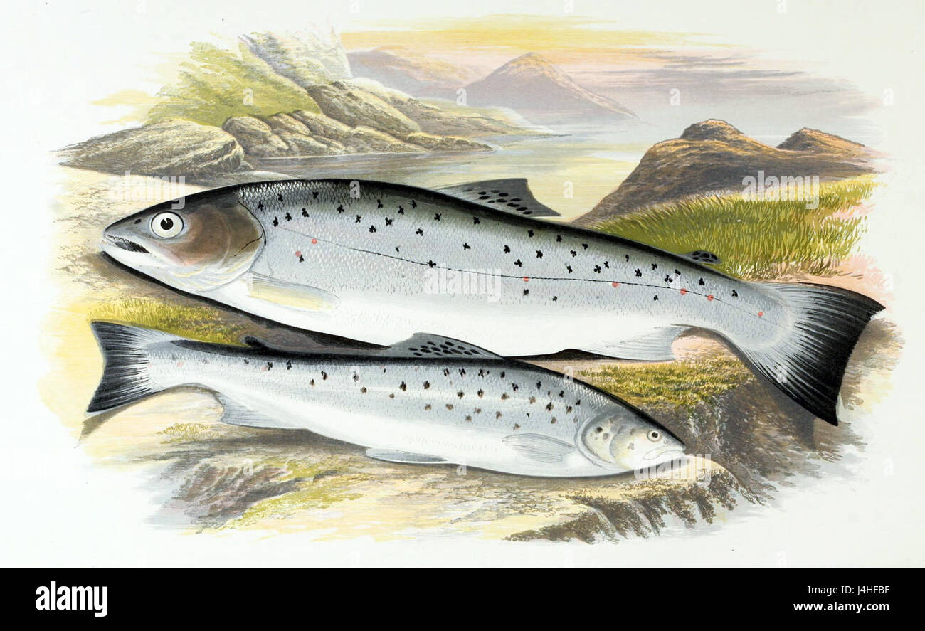 Salmo Map High Resolution Stock Photography and Images - Alamy