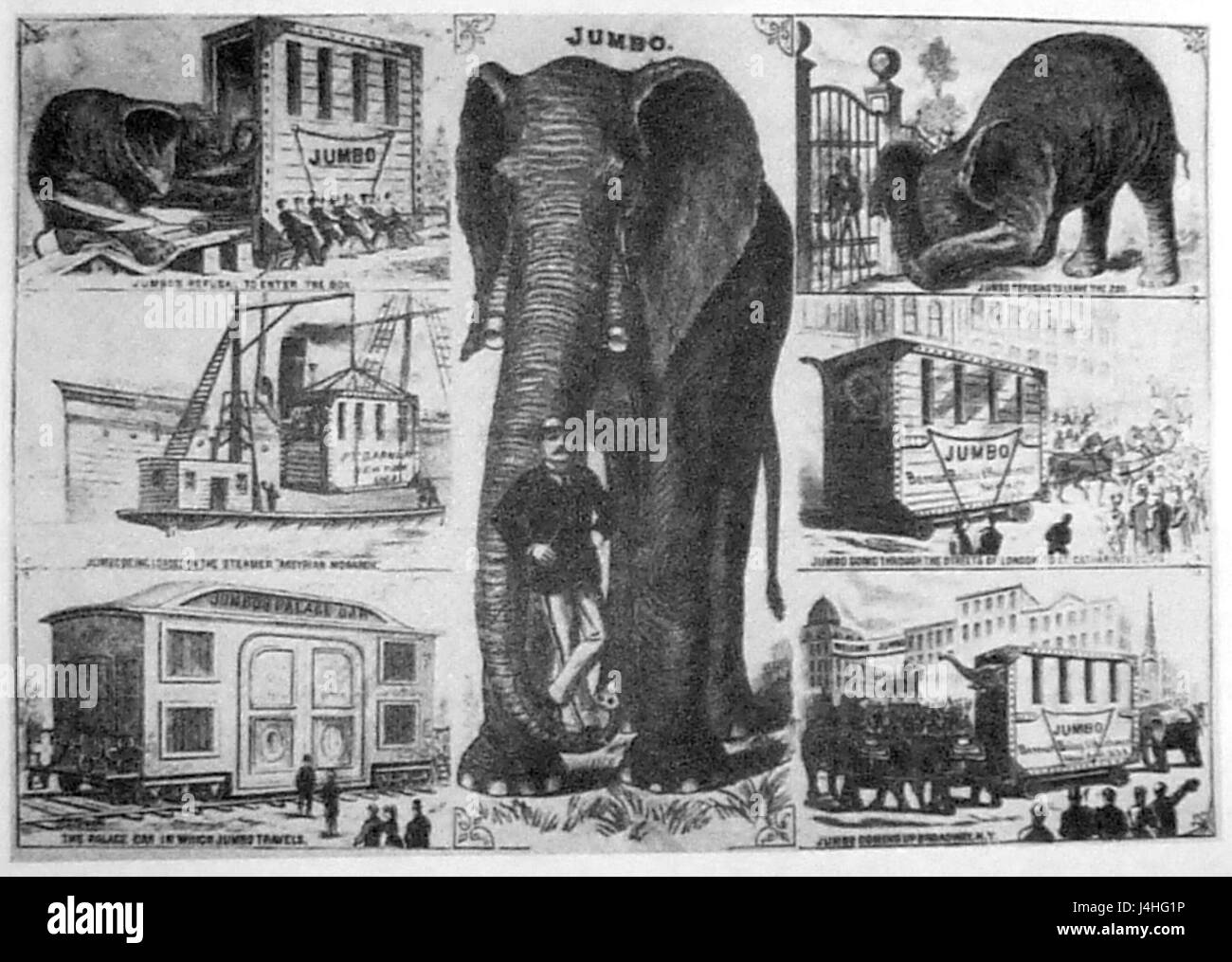 Jumbos hi-res stock photography and images - Alamy