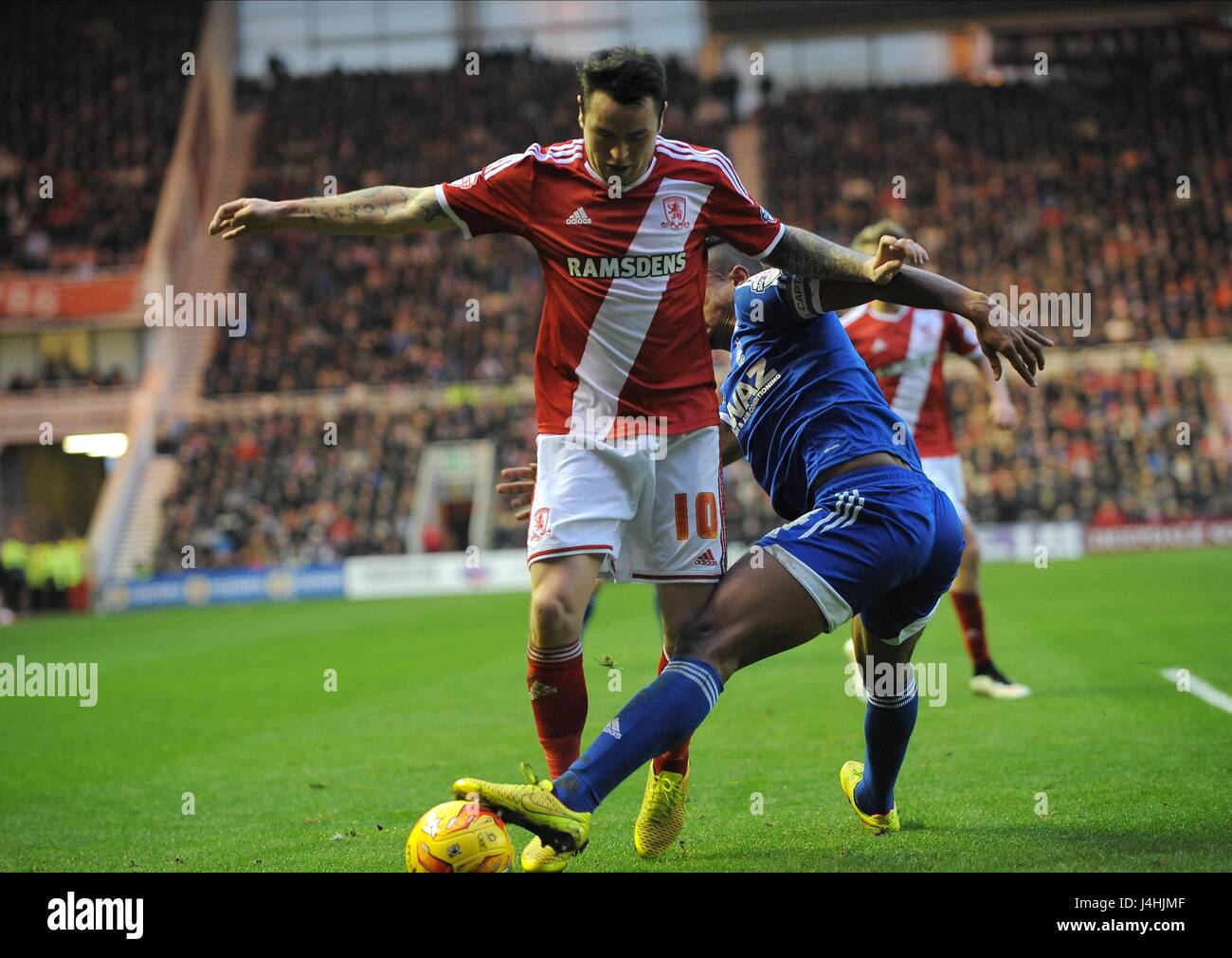 Michael mancienne forest hi-res stock photography and images - Alamy