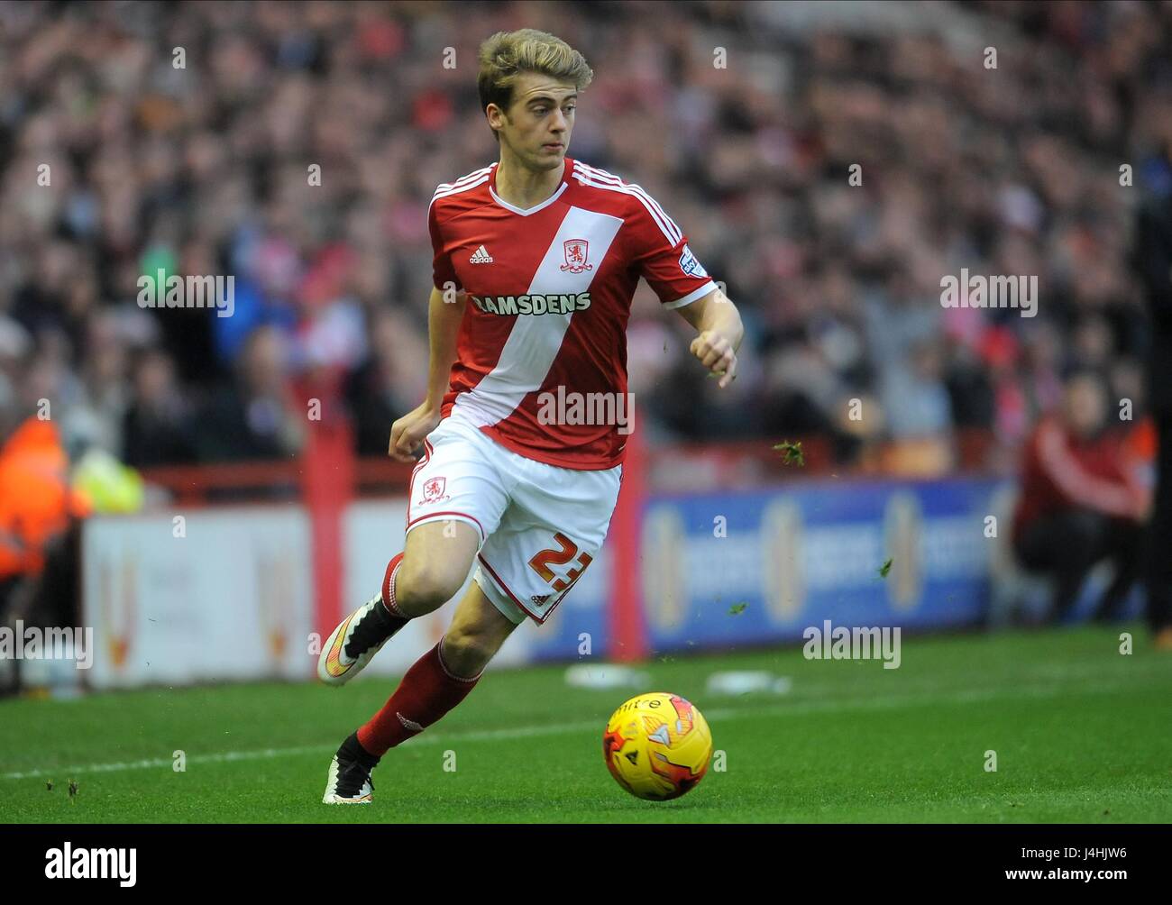 Patrick bamford forest hi-res stock photography and images - Alamy
