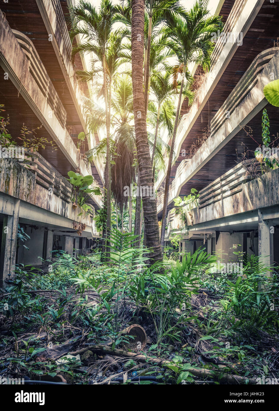Destroyed Jungle overgrown buildings. photo Stock Photo - Alamy