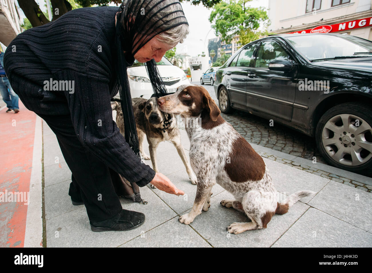 Homeless woman dog hi-res stock photography and images - Alamy