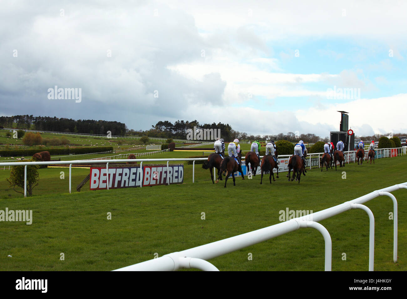 Hexham races hi-res stock photography and images - Alamy
