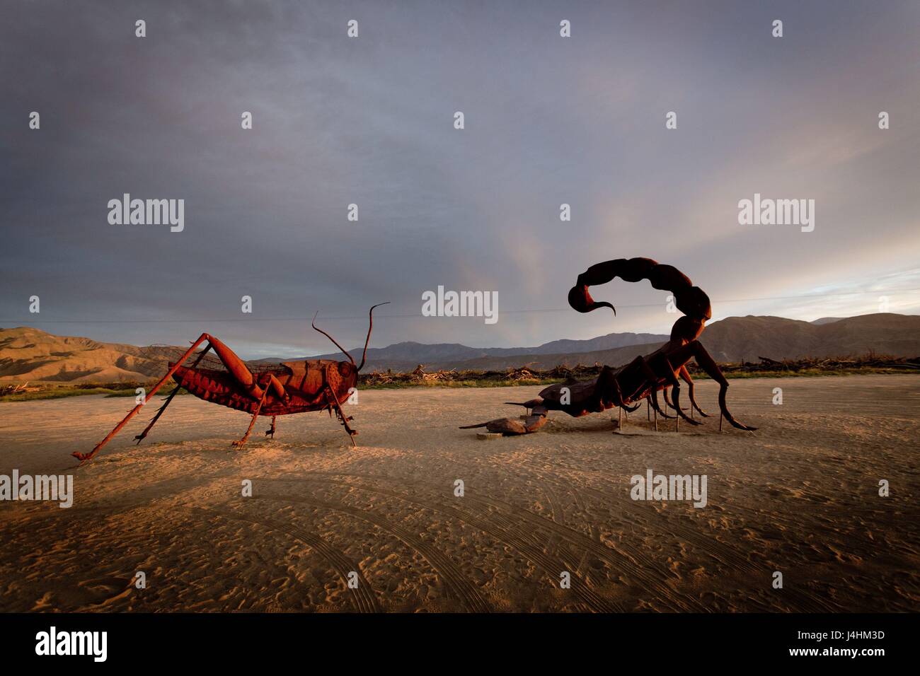 Super-sized locust and scorpion sculptures, from the "Sky Art ...