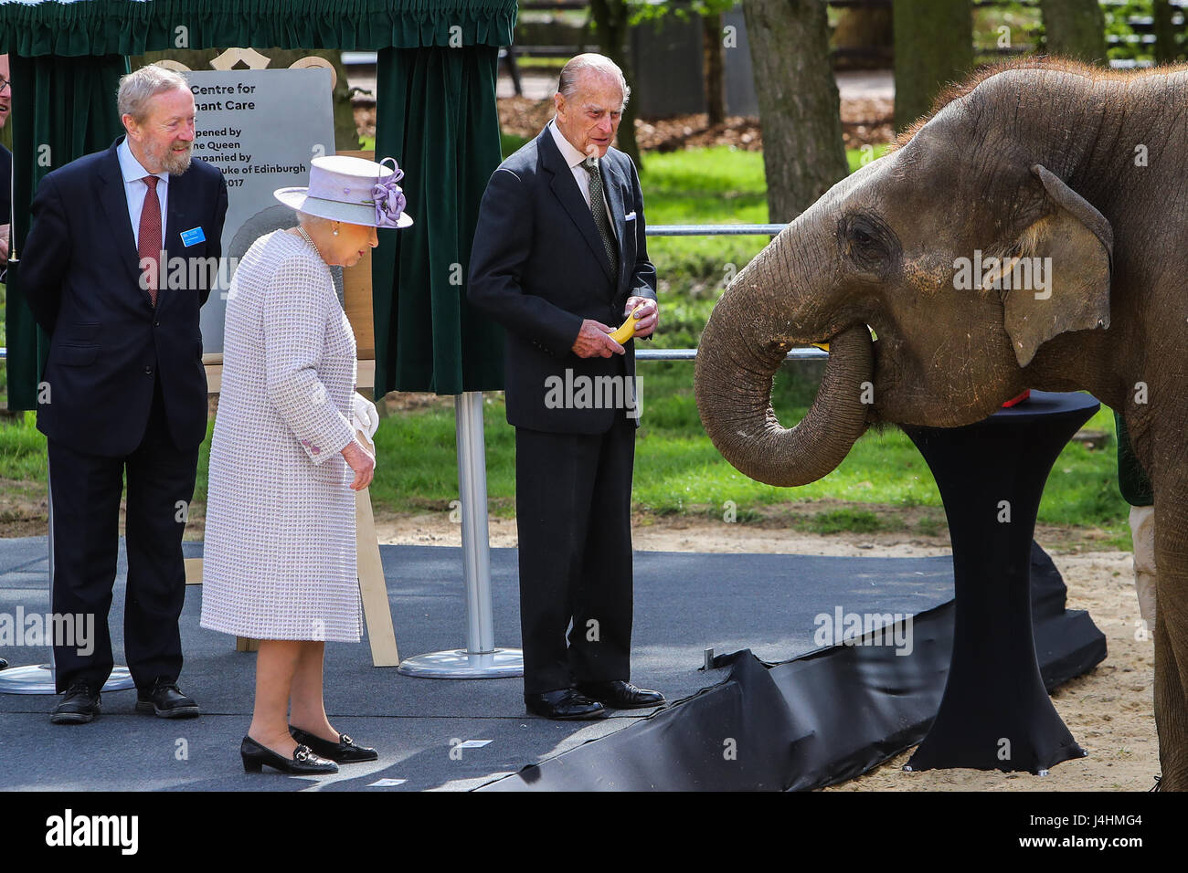 Queen Elizabeth and Prince Philip visit the new elephant centre at ZSL ...