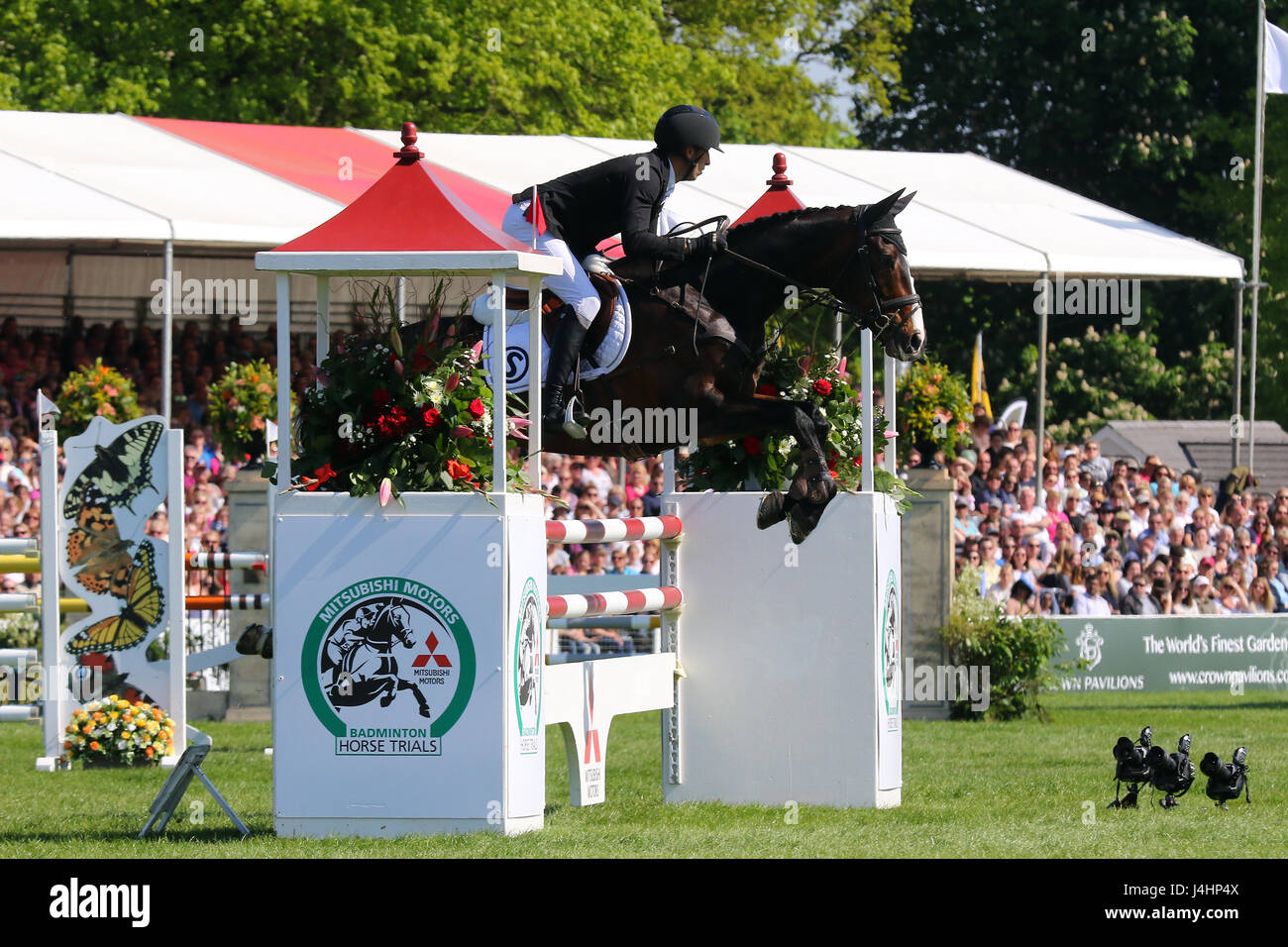Tim price badminton hi-res stock photography and images - Alamy