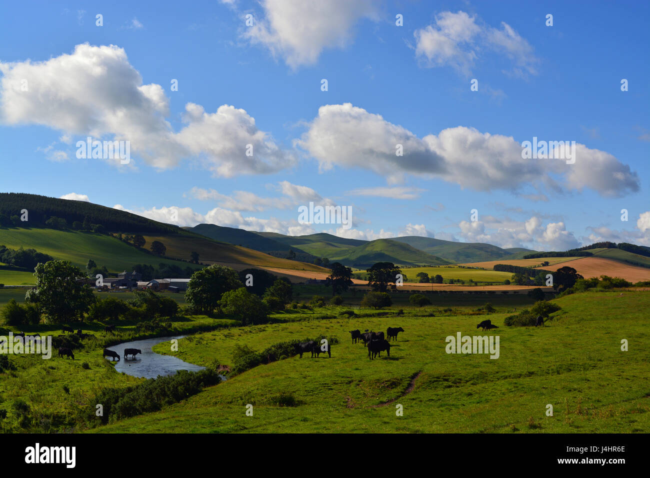 Bowmont Water, Yetholm, Scotkotland Stock Photo - Alamy