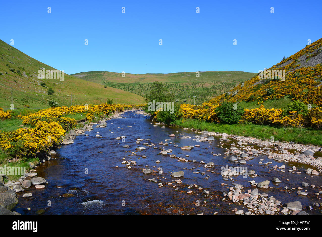 Breamish river hi-res stock photography and images - Alamy