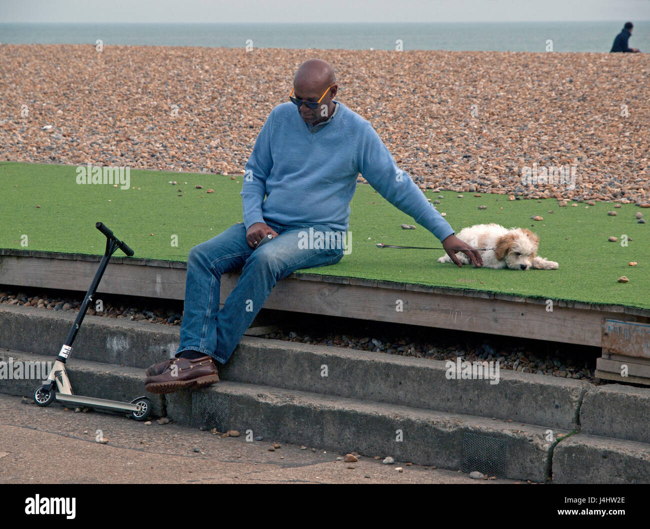 A ma and his dog on Brighton beach Stock Photo - Alamy