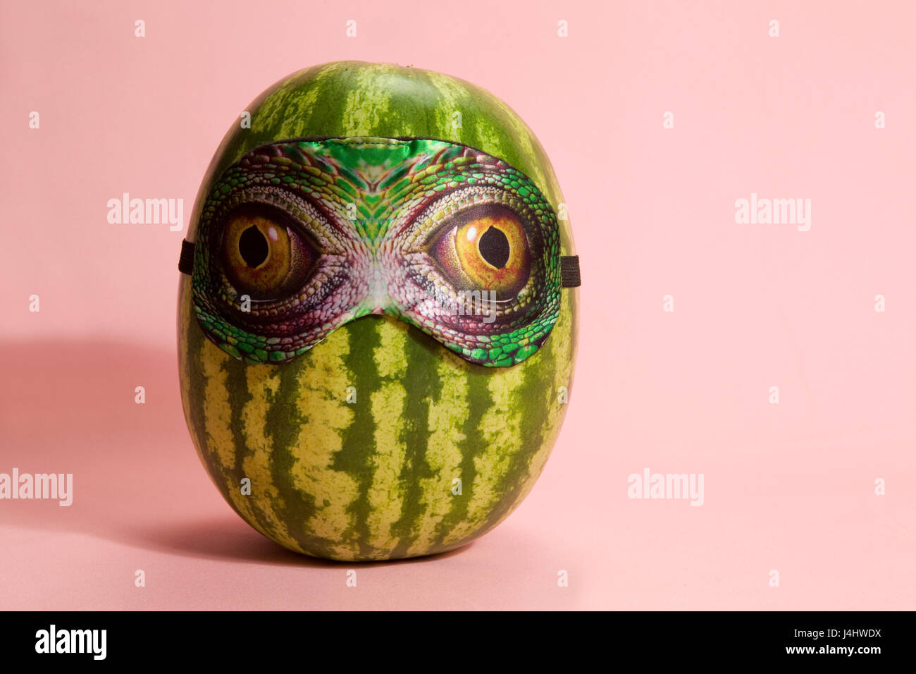 Freak watermelon wearing a snake sleep mask a pink background Stock ...