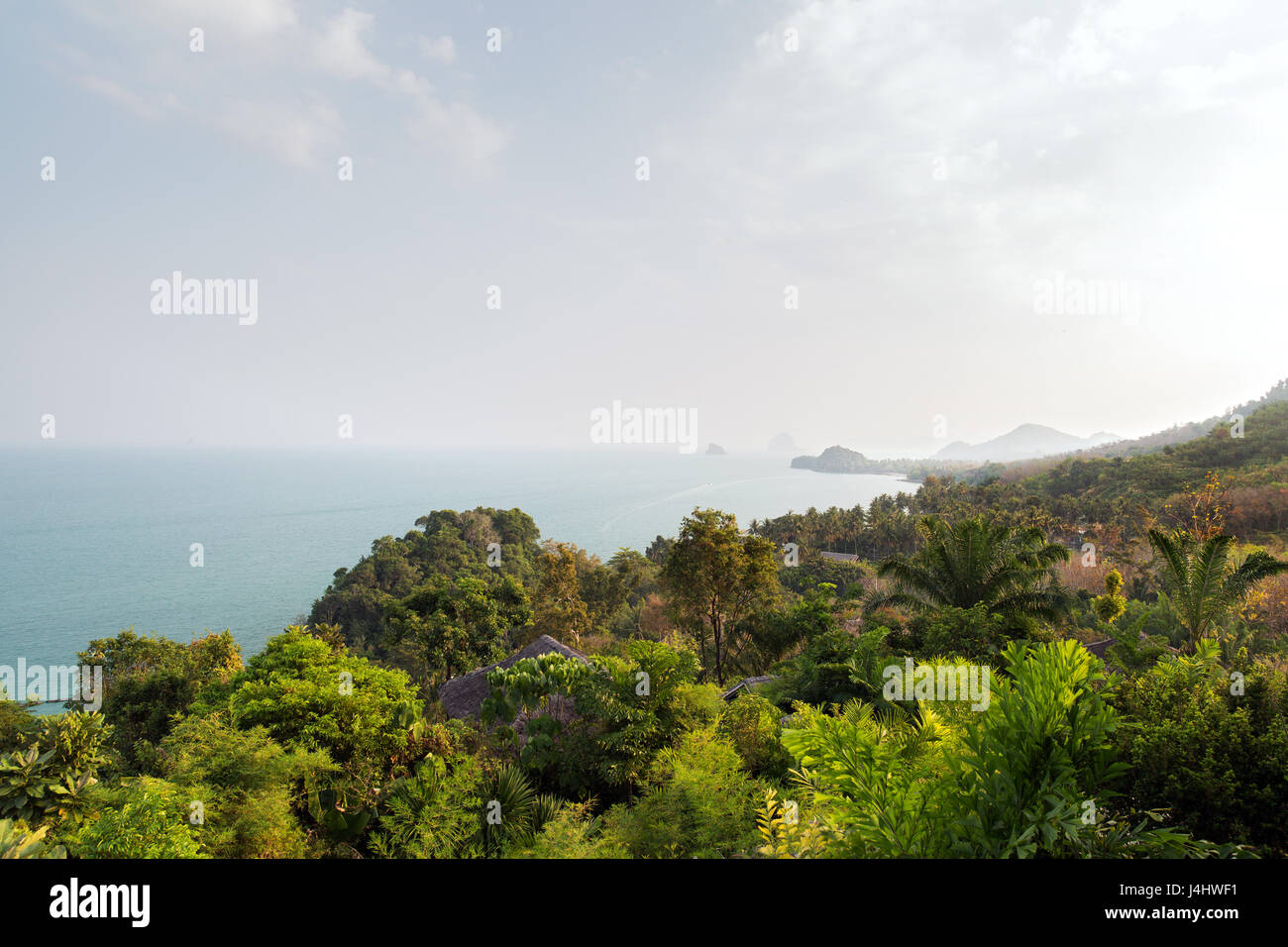 Ocean forest hi-res stock photography and images - Alamy