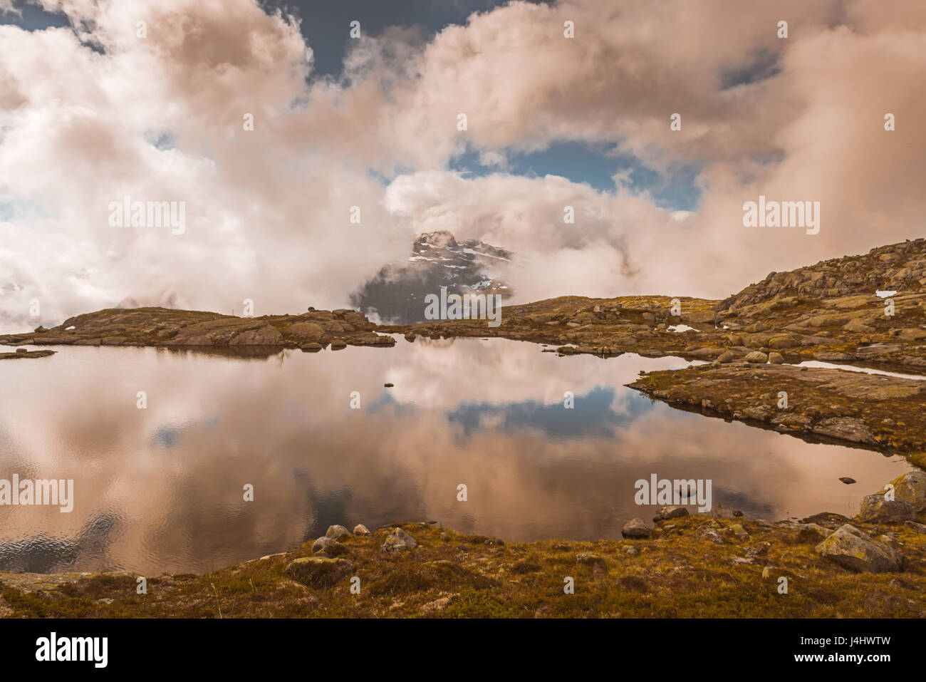 summer view to mountain bog and lake in Norway Stock Photo - Alamy