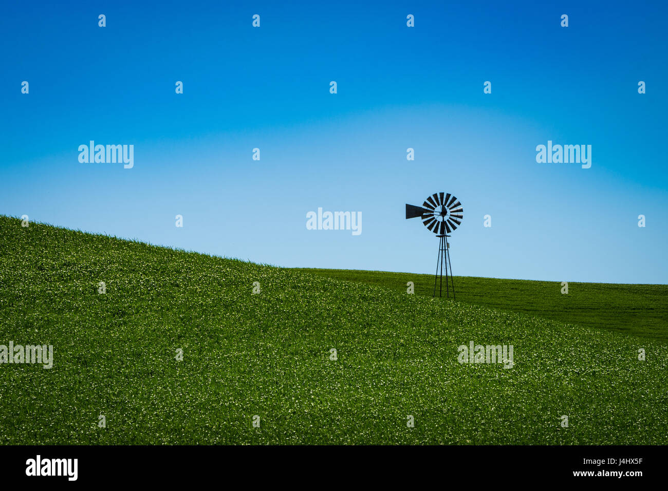 Landscape with the windmill and wheat fields in Eastern Washington ...
