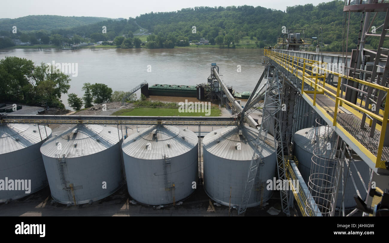 Giant grain silos filled with soybeans at the Consolidated Grain and ...