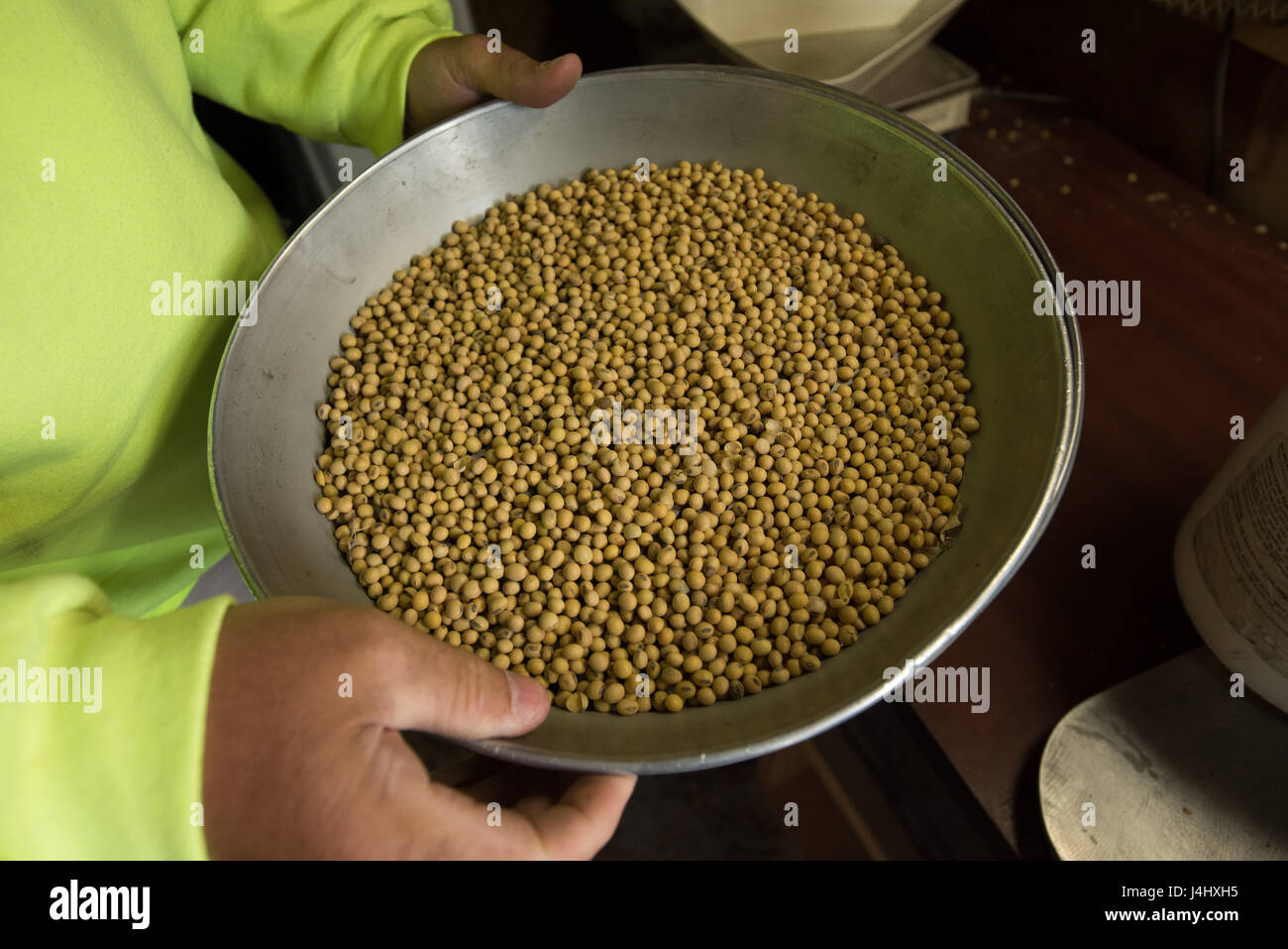 A USDA agricultural agent examines a batch of soybeans during ...