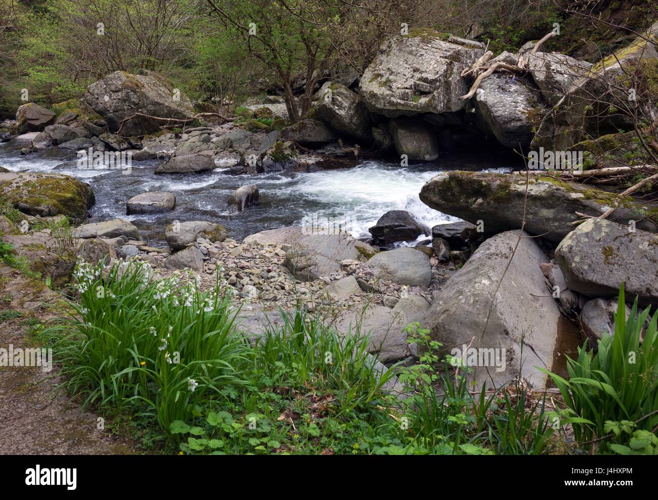 East Lyn River, North Devon, England Stock Photo - Alamy