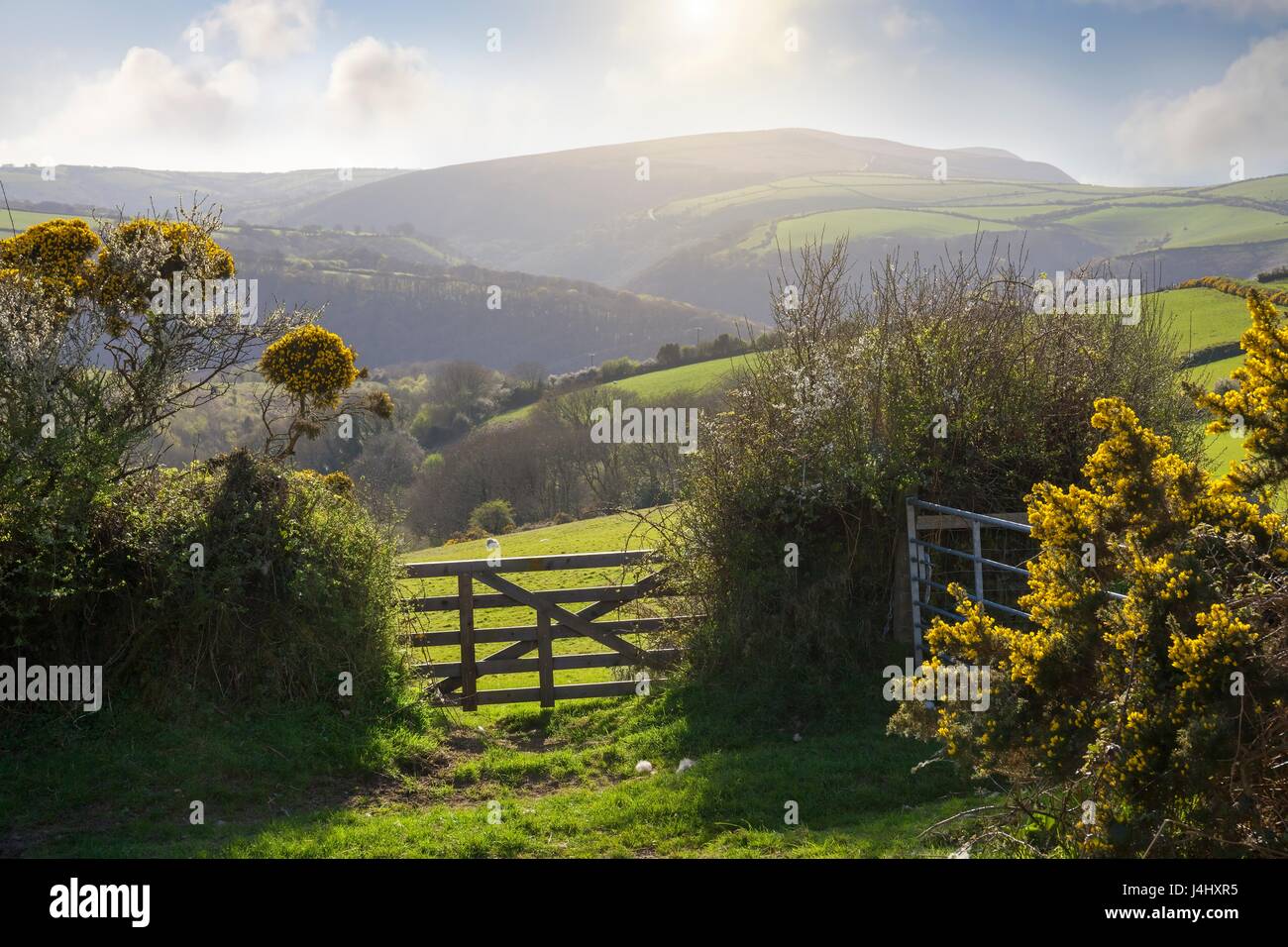 North Devon landscape, England Stock Photo - Alamy