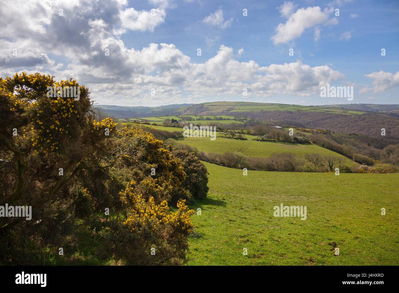 North Devon landscape, England Stock Photo - Alamy