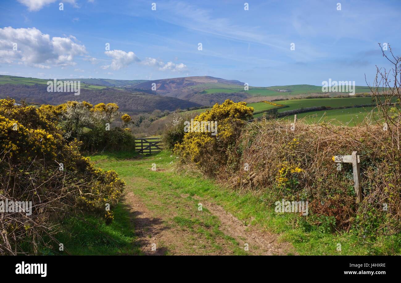 North Devon landscape, England Stock Photo - Alamy