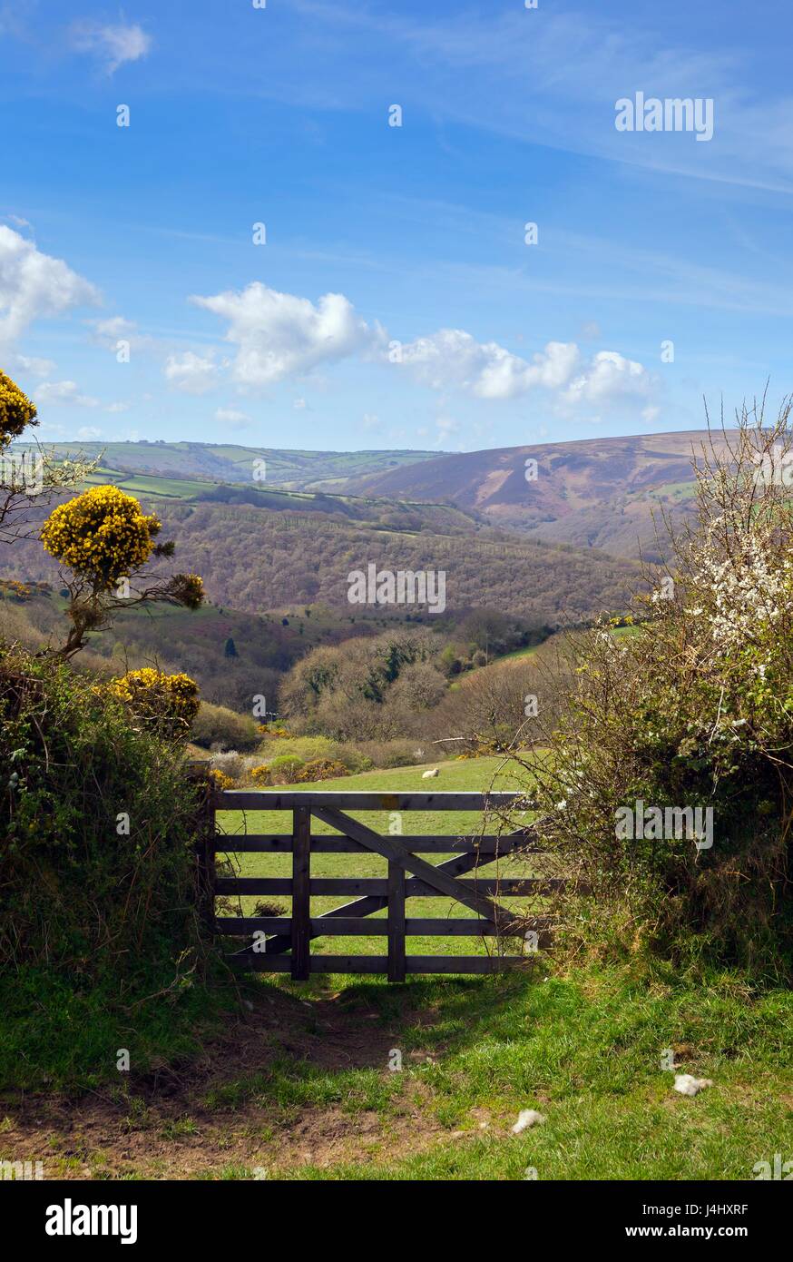 North devon landscape hi-res stock photography and images - Alamy