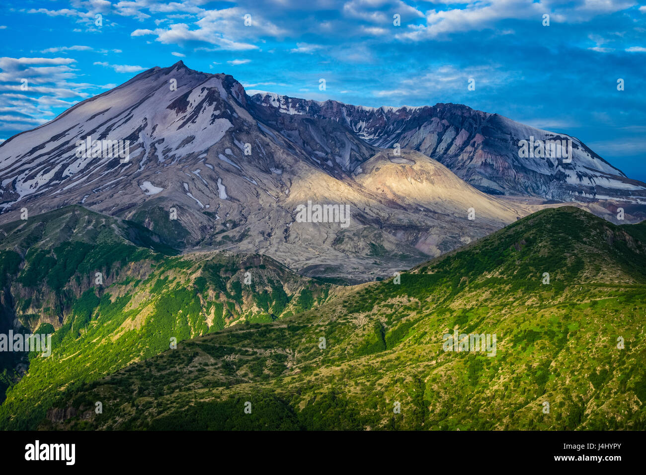 Mount Saint Helens volcano viewed from the north side with blast zone ...