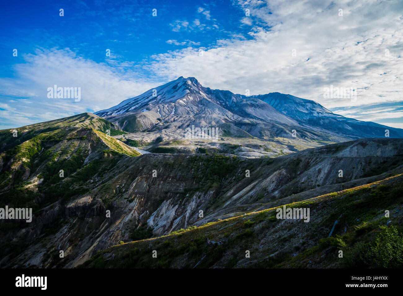 Mount Saint Helens volcano viewed from the north side with blast zone ...