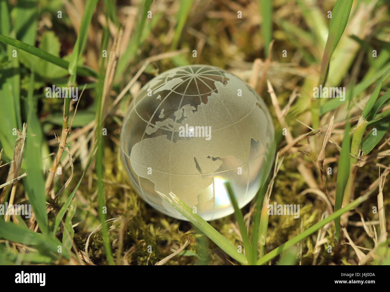 Glass earth in grass Stock Photo - Alamy