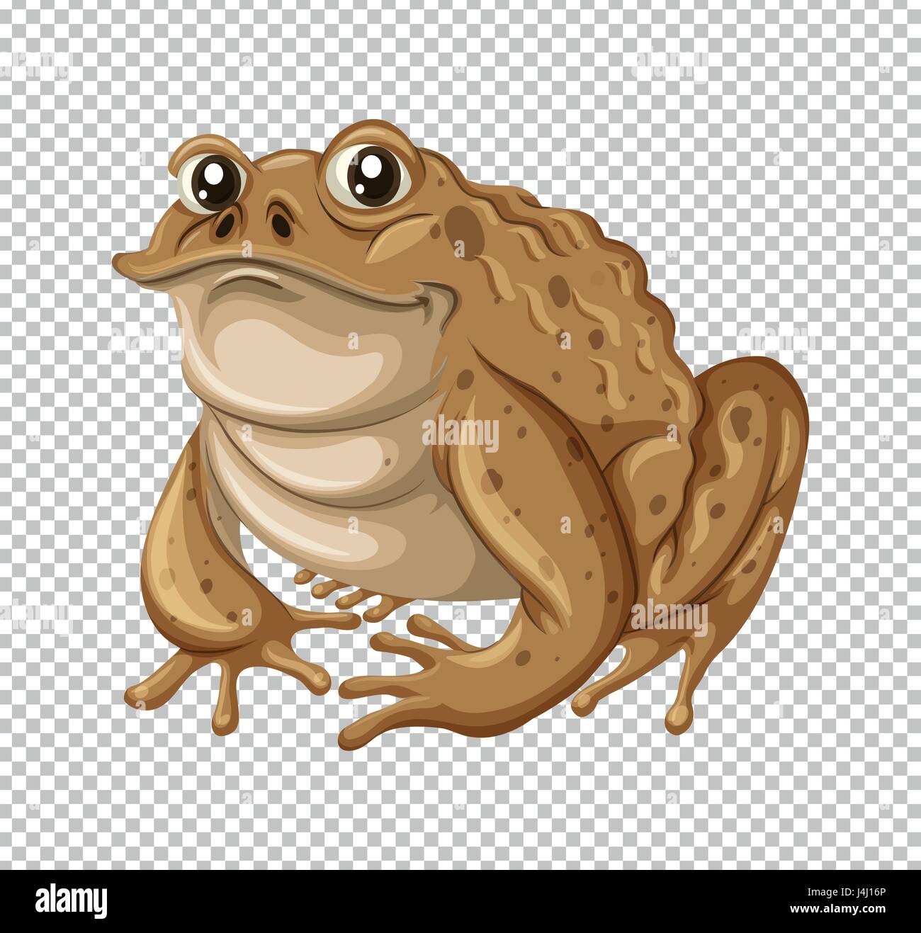 Toad with brown skin illustration Stock Vector Image & Art - Alamy