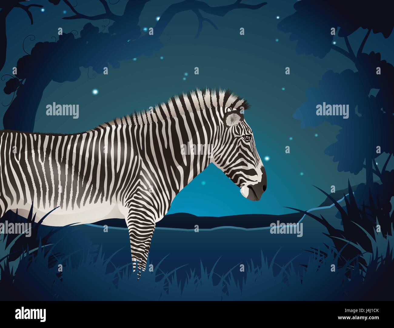 Zebra in the forest at night illustration Stock Vector Image & Art - Alamy