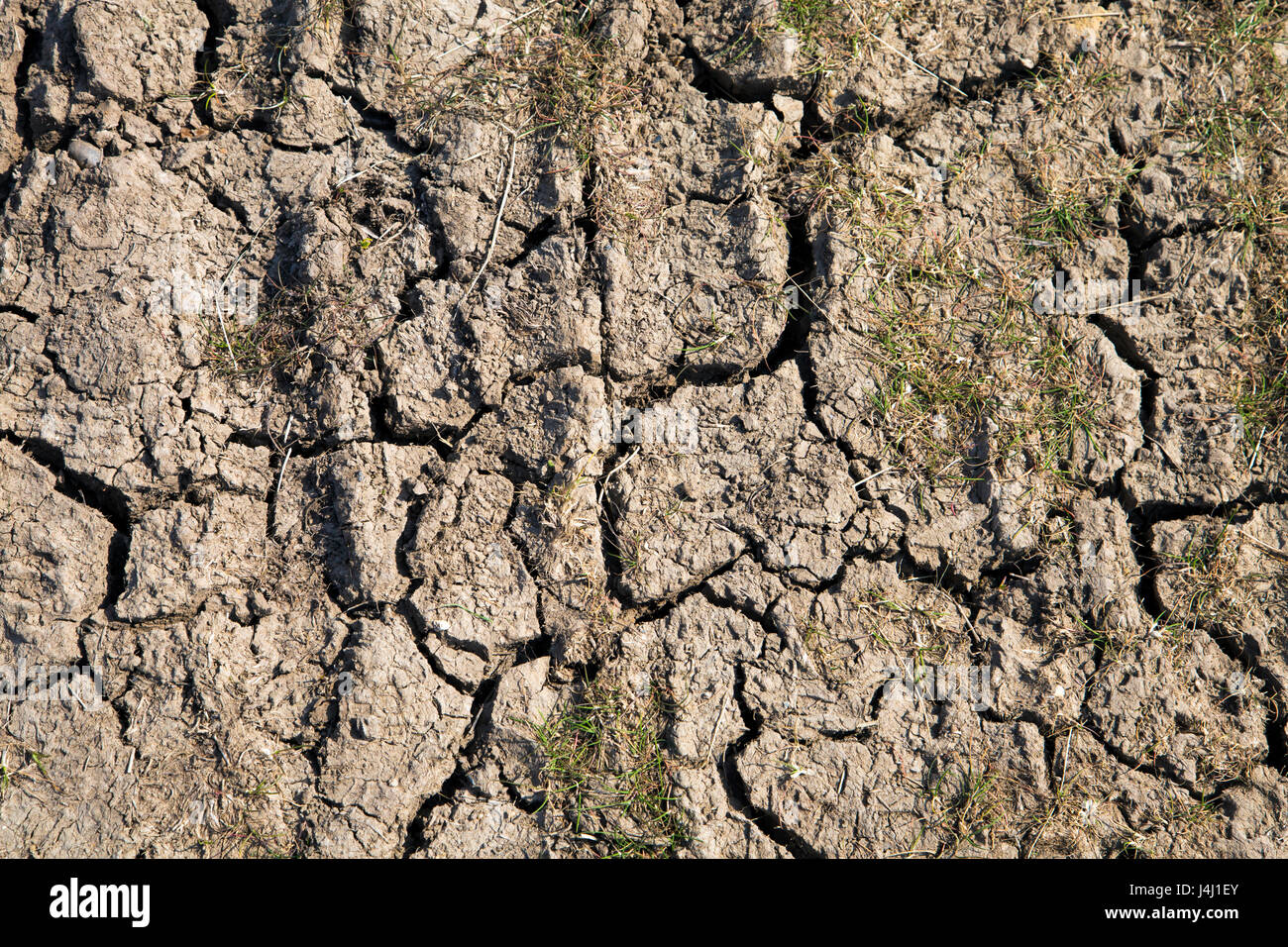 Cracked dry soil Stock Photo - Alamy