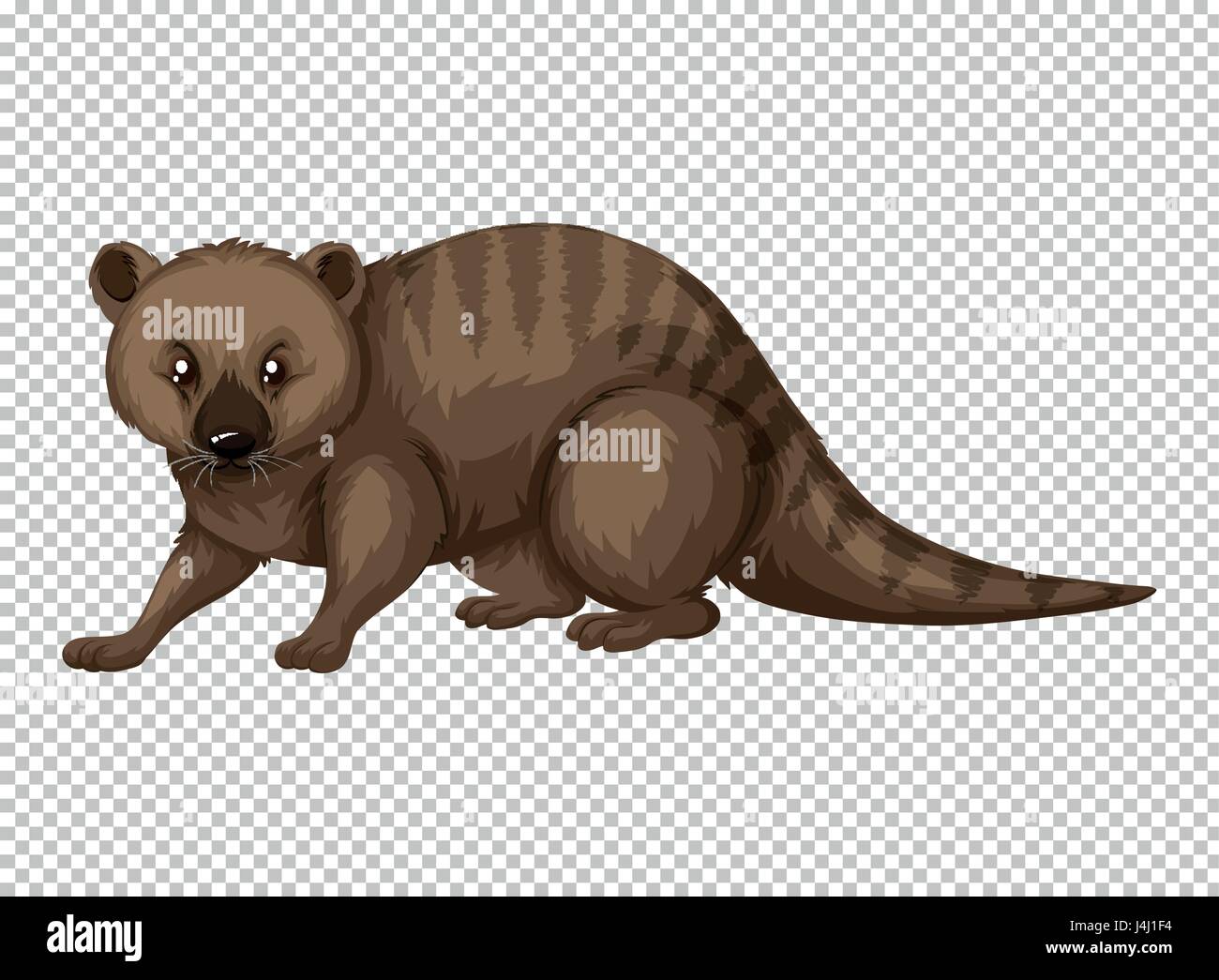 Australian wild animal on transparent background illustration Stock ...