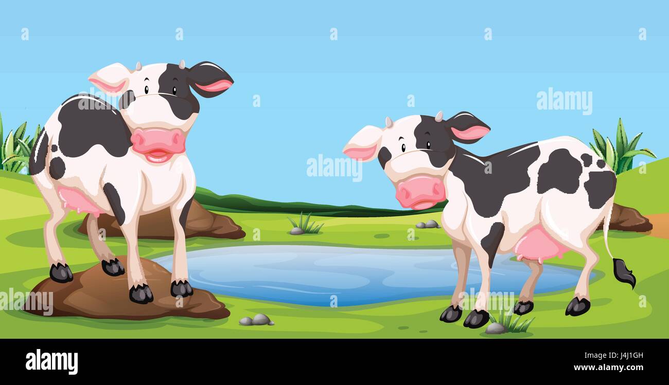 Two cows standing in farmyard illustration Stock Vector Image & Art - Alamy